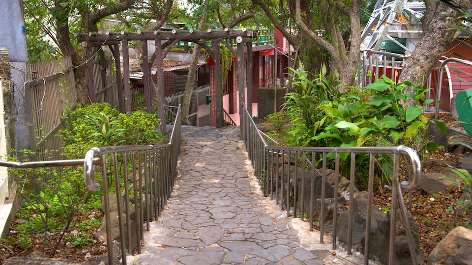 Parque de Zhongzheng que inclui um jardim