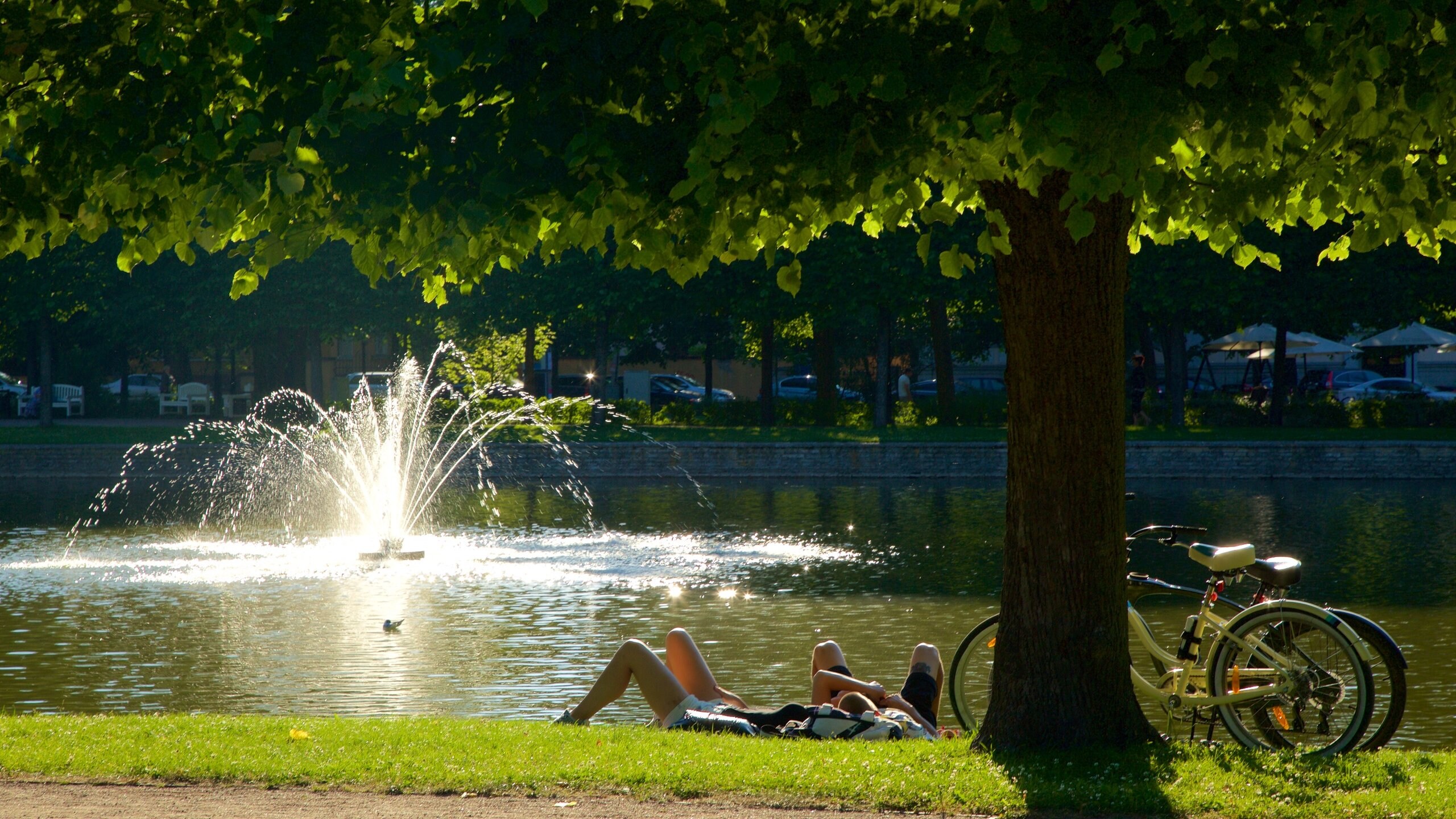 Kadrioru Park