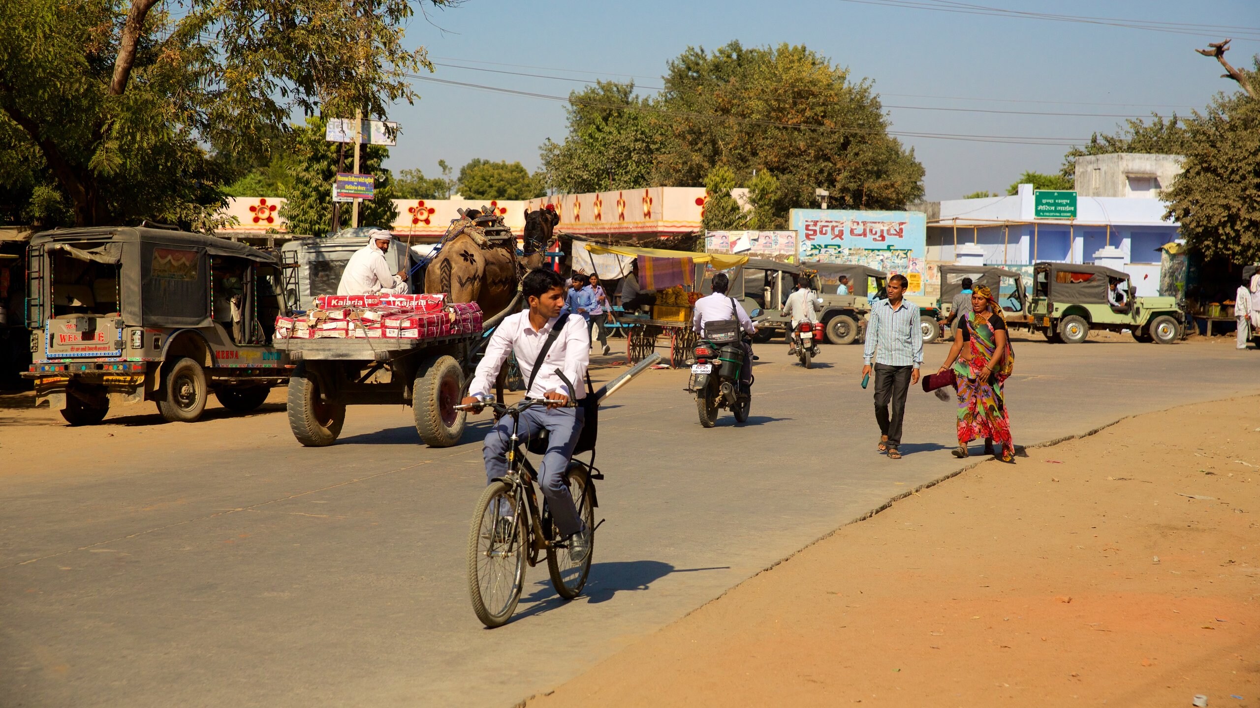 Visit Sawai Madhopur: 2021 Travel Guide for Sawai Madhopur, Rajasthan ...