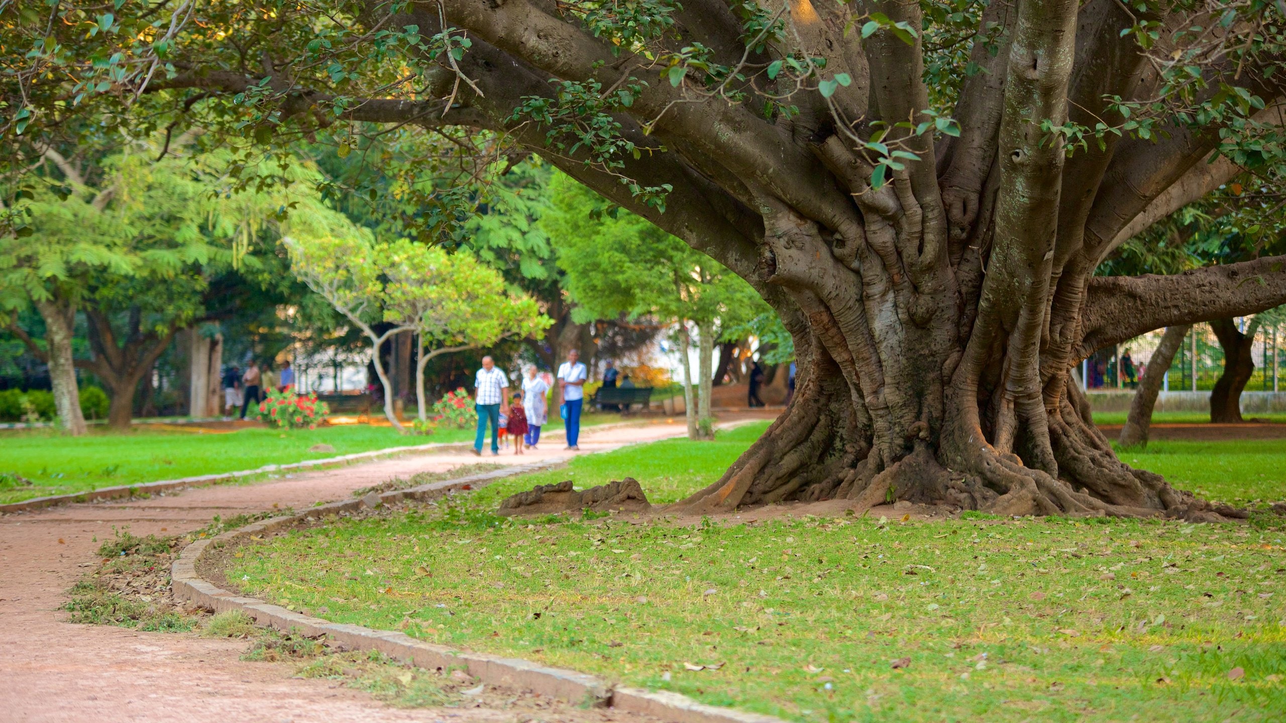 Lalbagh Botanical Gardens Tours - Book Now | Expedia