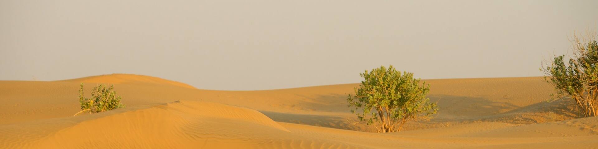 Khuri, Jaisalmer, Rajasthan, Índia