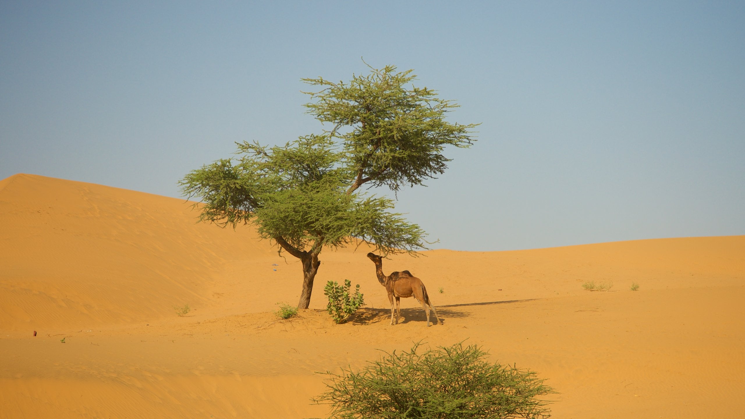 Visit Seoni: Best of Seoni, Madhya Pradesh Travel 2022 | Expedia Tourism