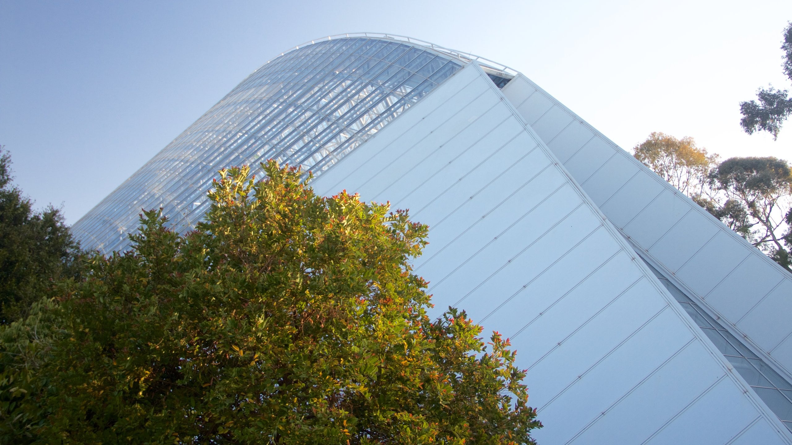 Adelaide Botanic Gardens, Adelaide holiday accommodation from AU$ 113 ...