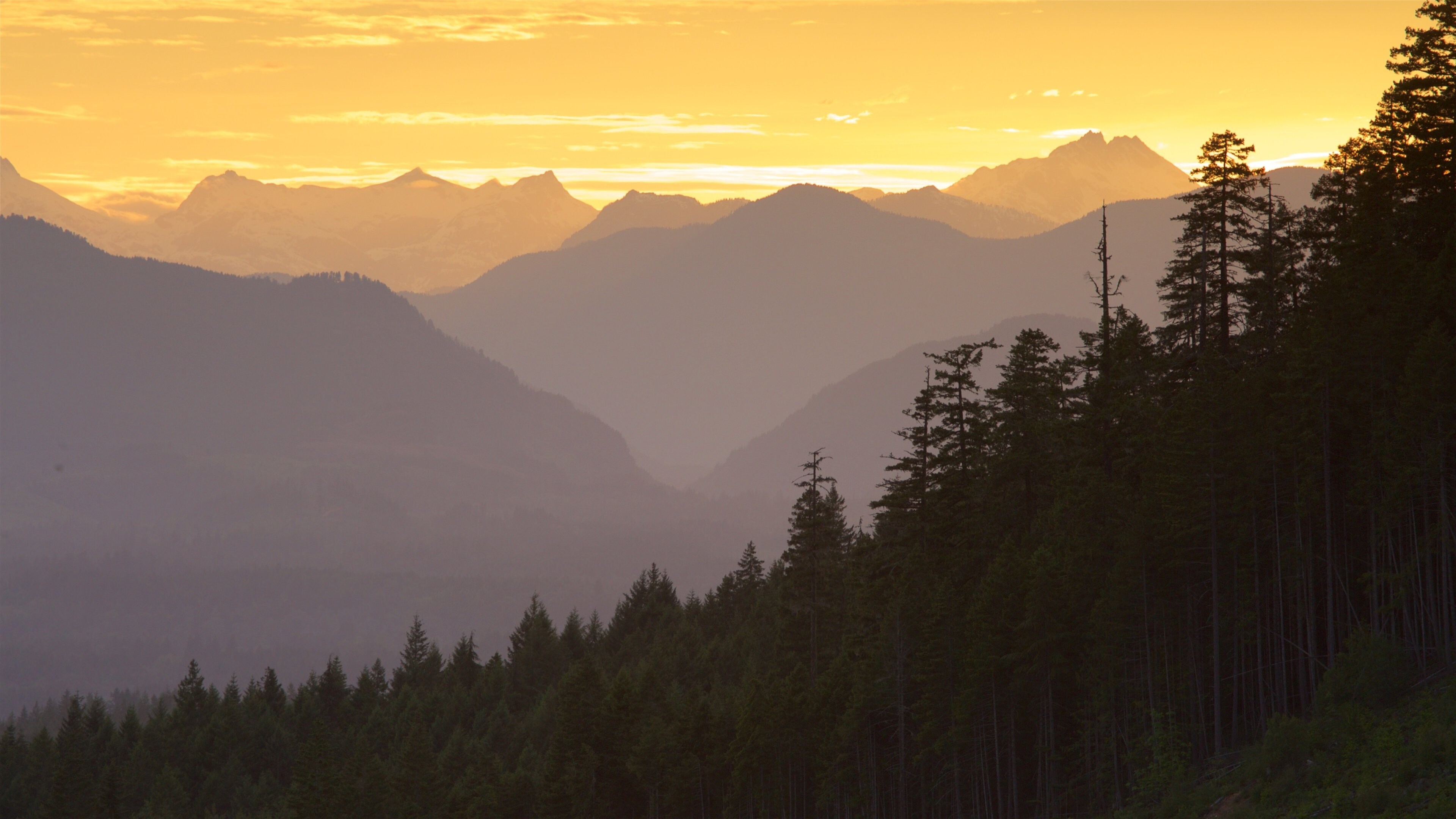 Visitez Ile de Vancouver: guide touristique 2024 | Expedia.fr