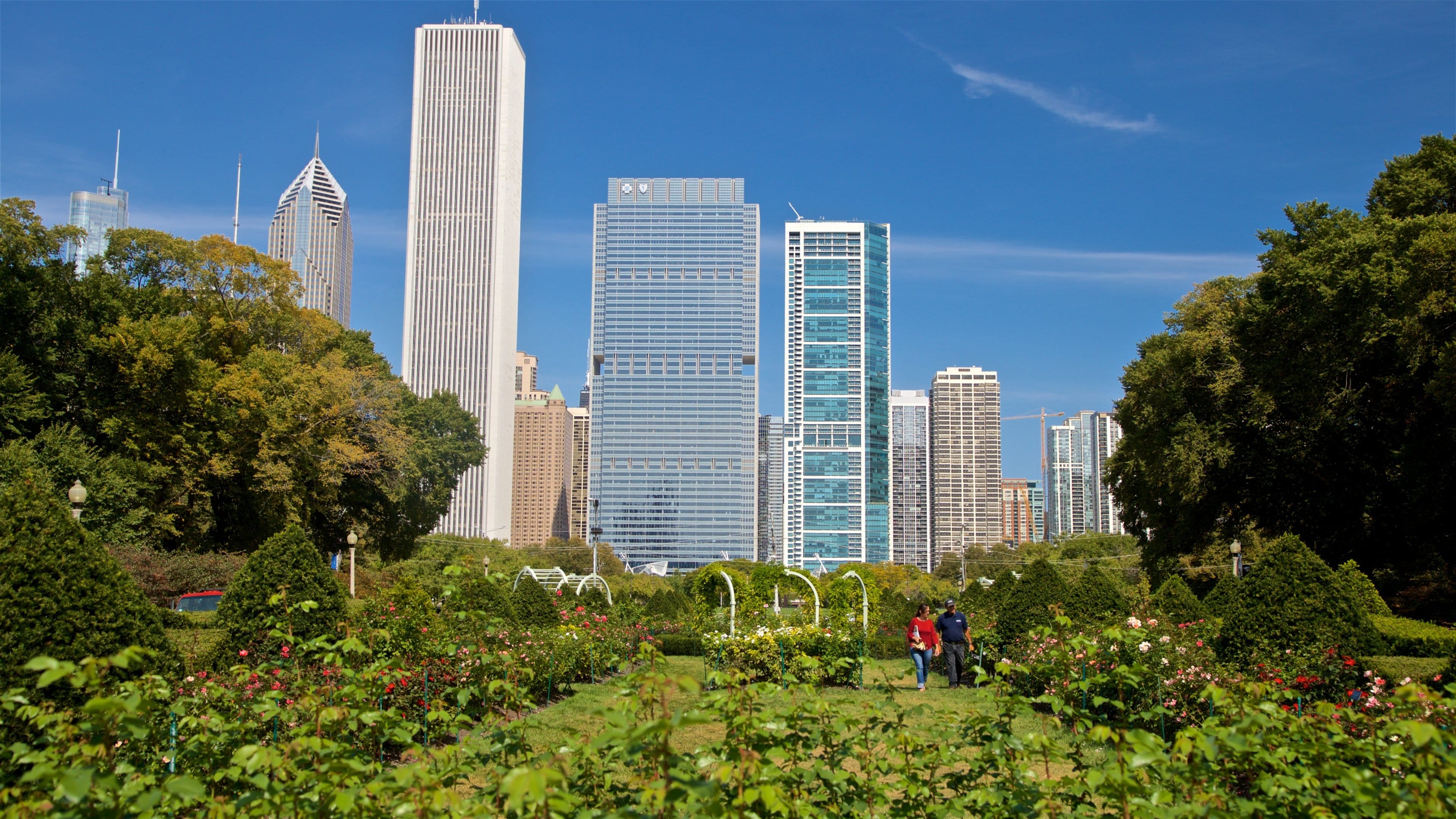 Visit Chicago: 2024 Travel Guide for Chicago, Illinois | Expedia