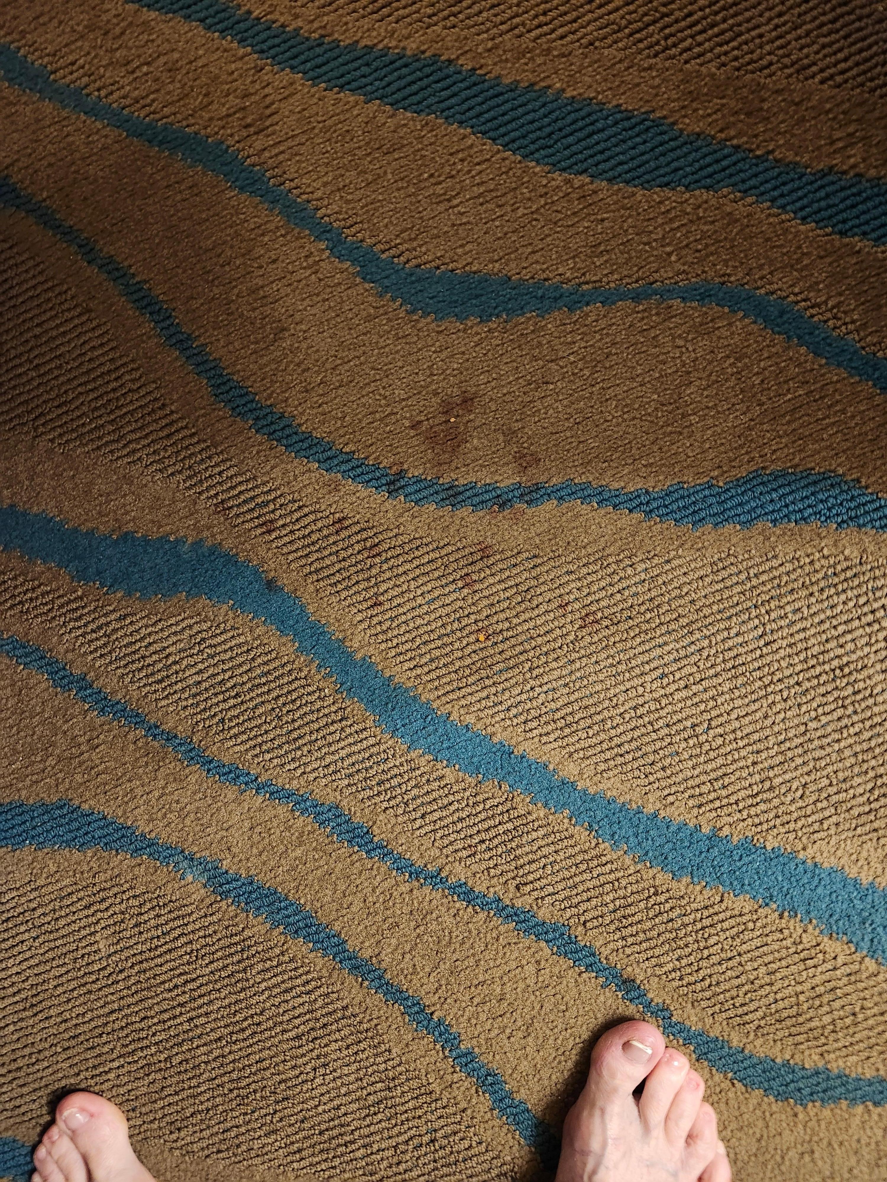 Another area of carpet stains.