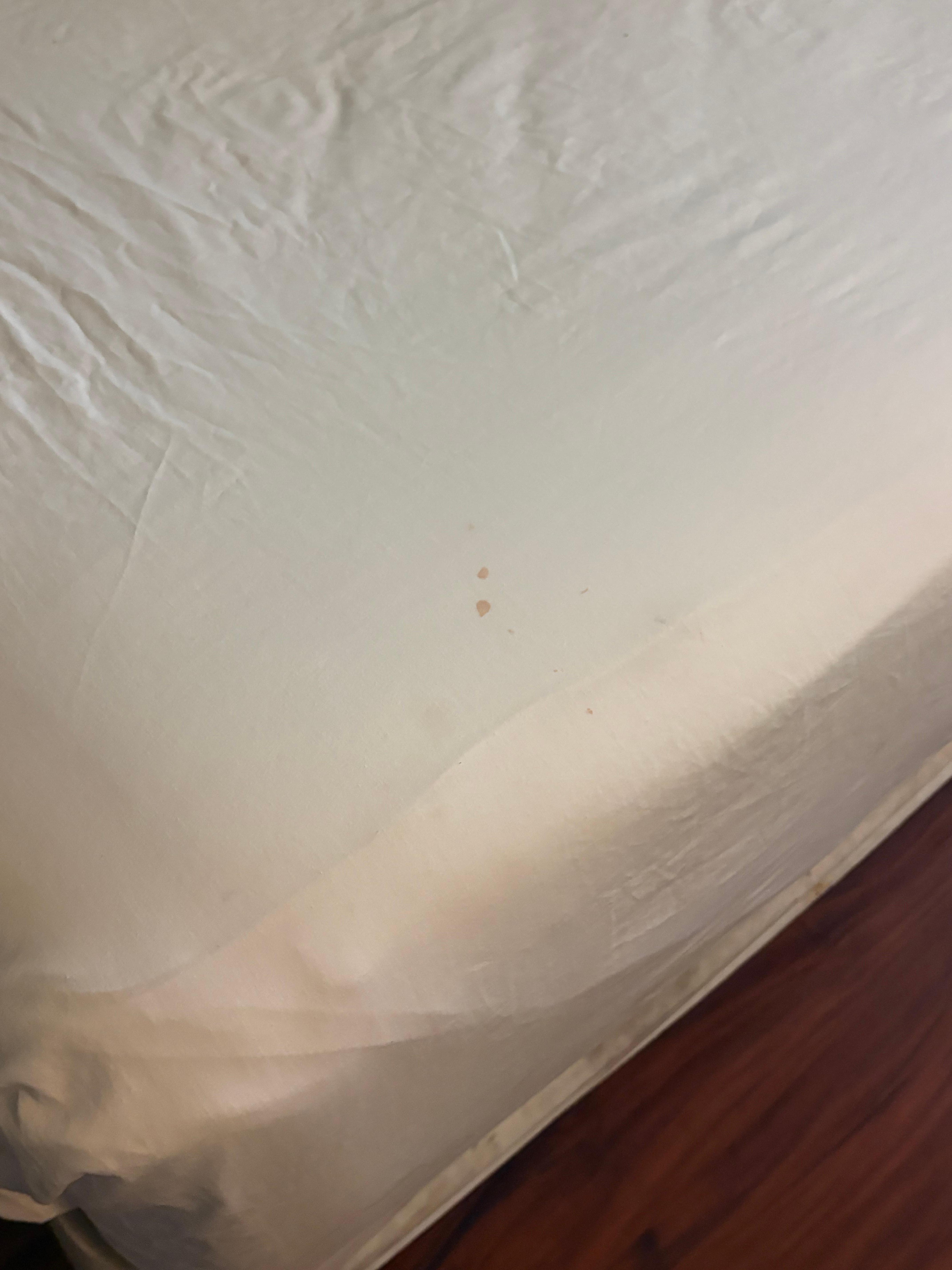 Room 276 it’s blood in the bed 