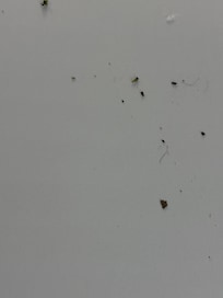 Just dirty and nasty.