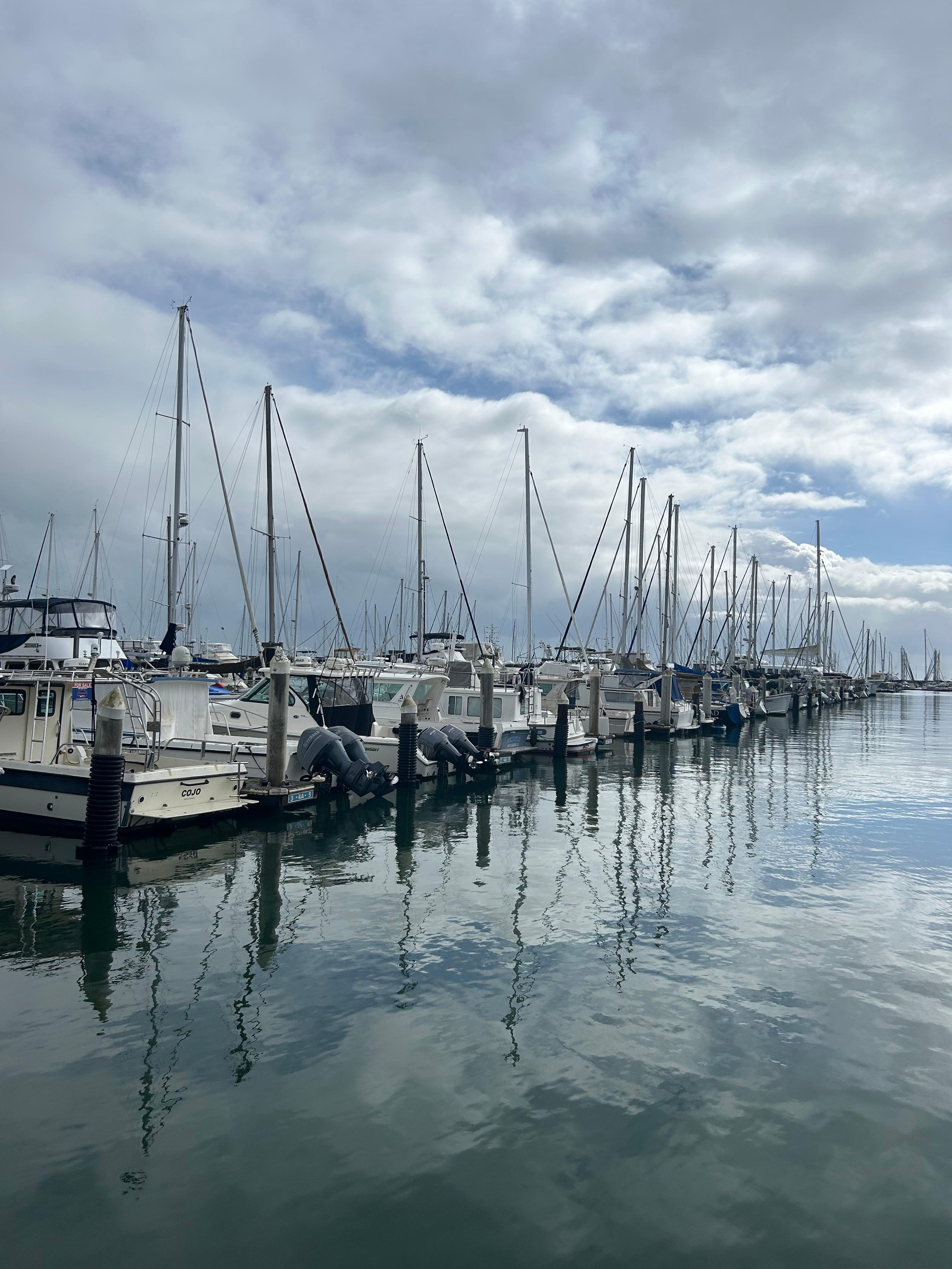 Harbor is within walking distance of the hotel 