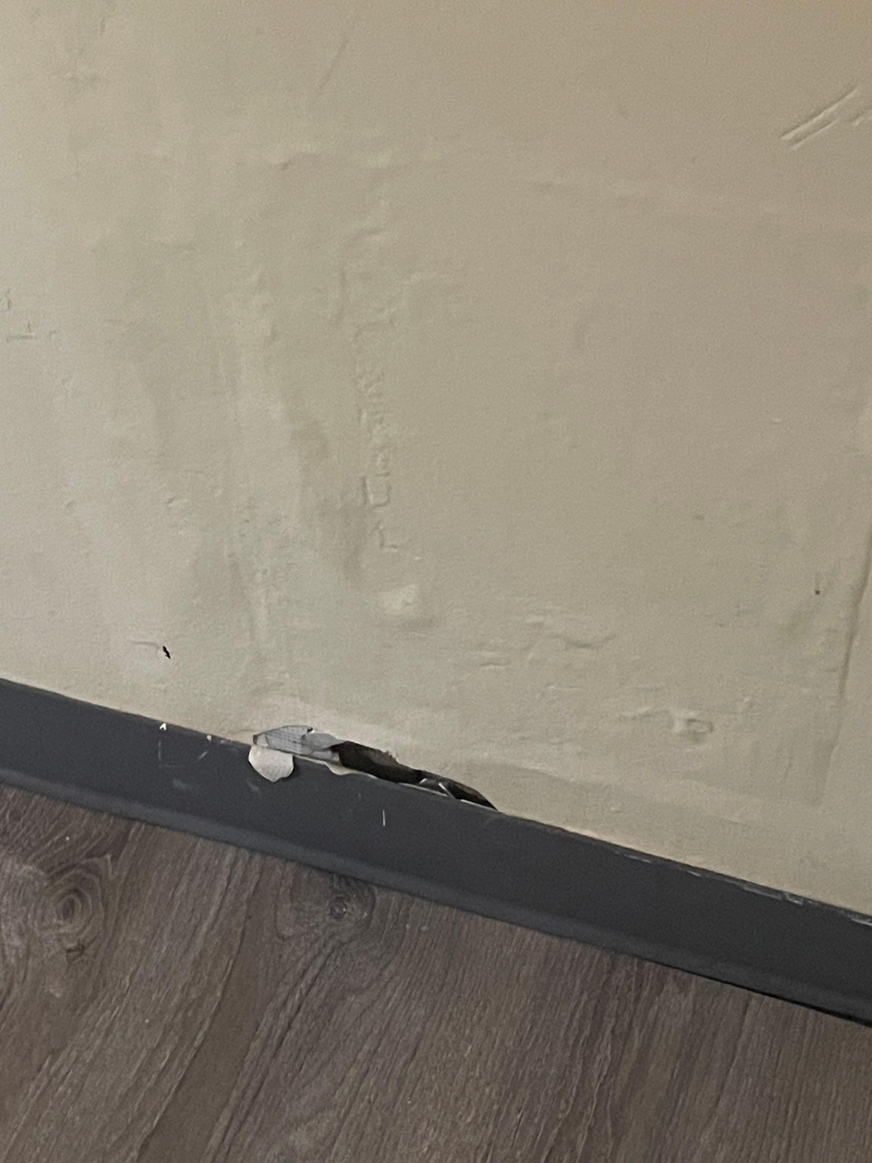 Peeling paint and holes 