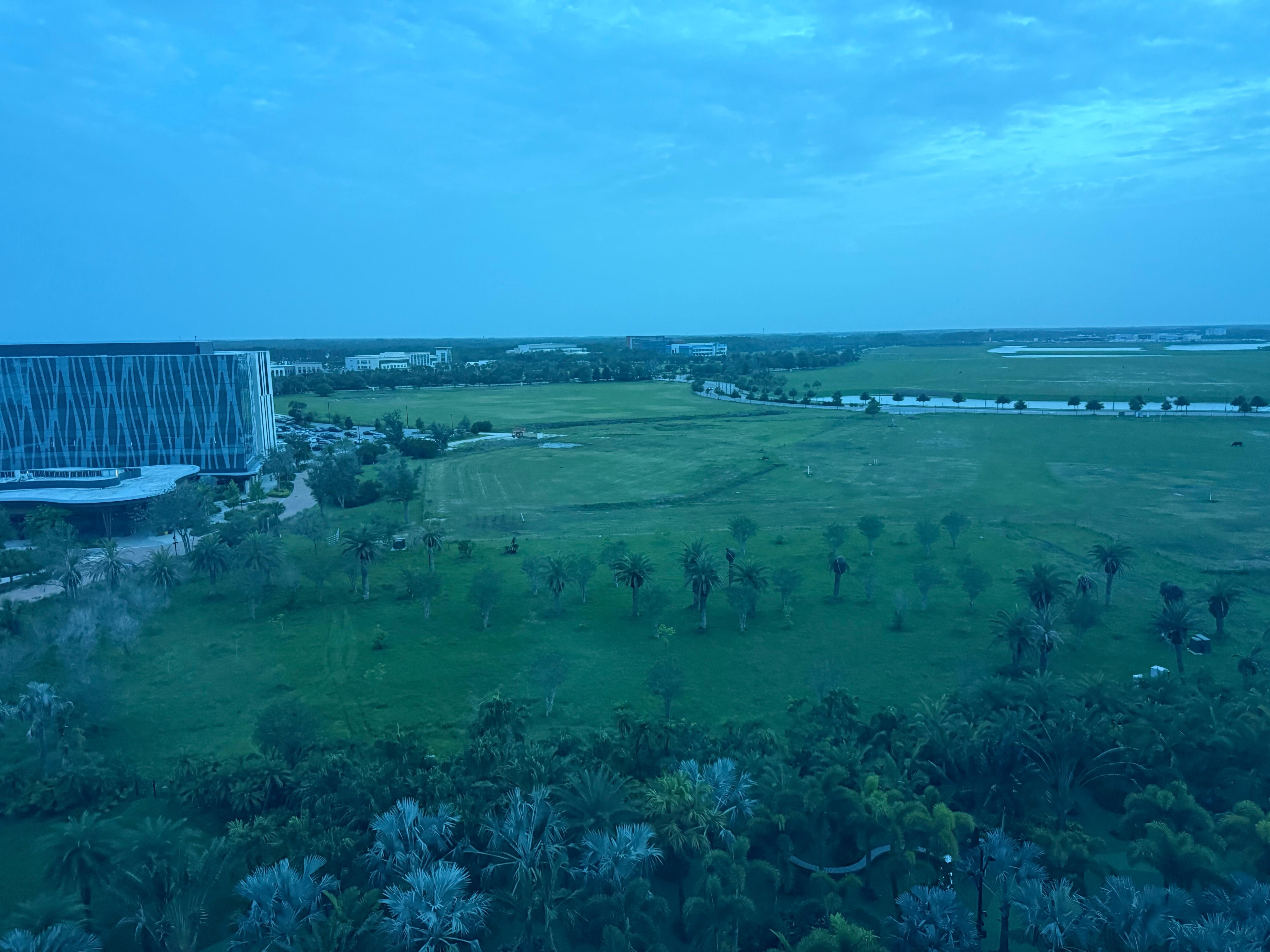 View from my room
