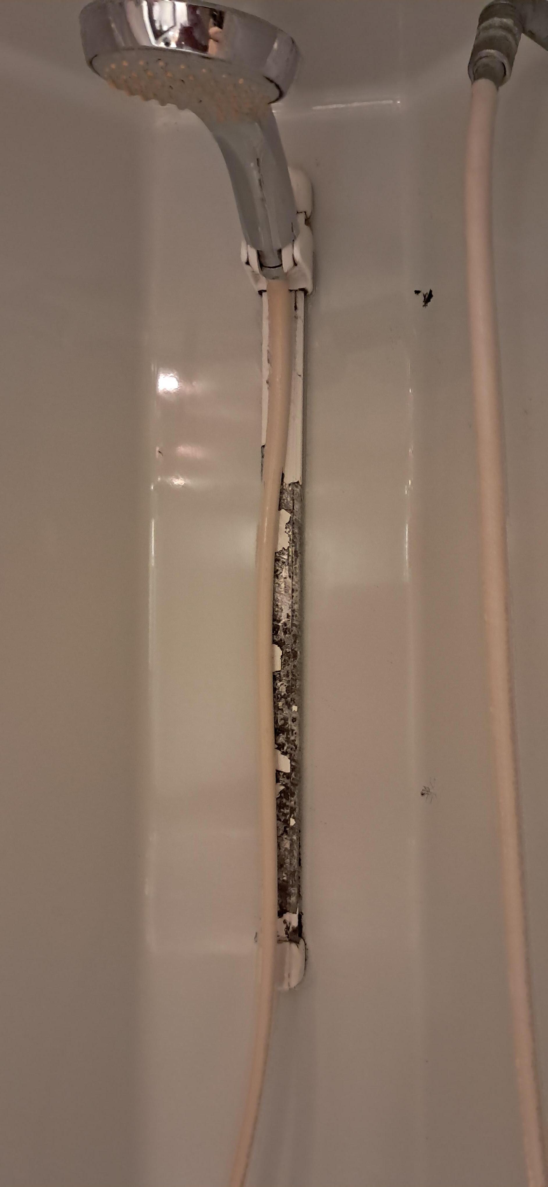 Moisi douche