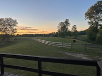 The view from the deck