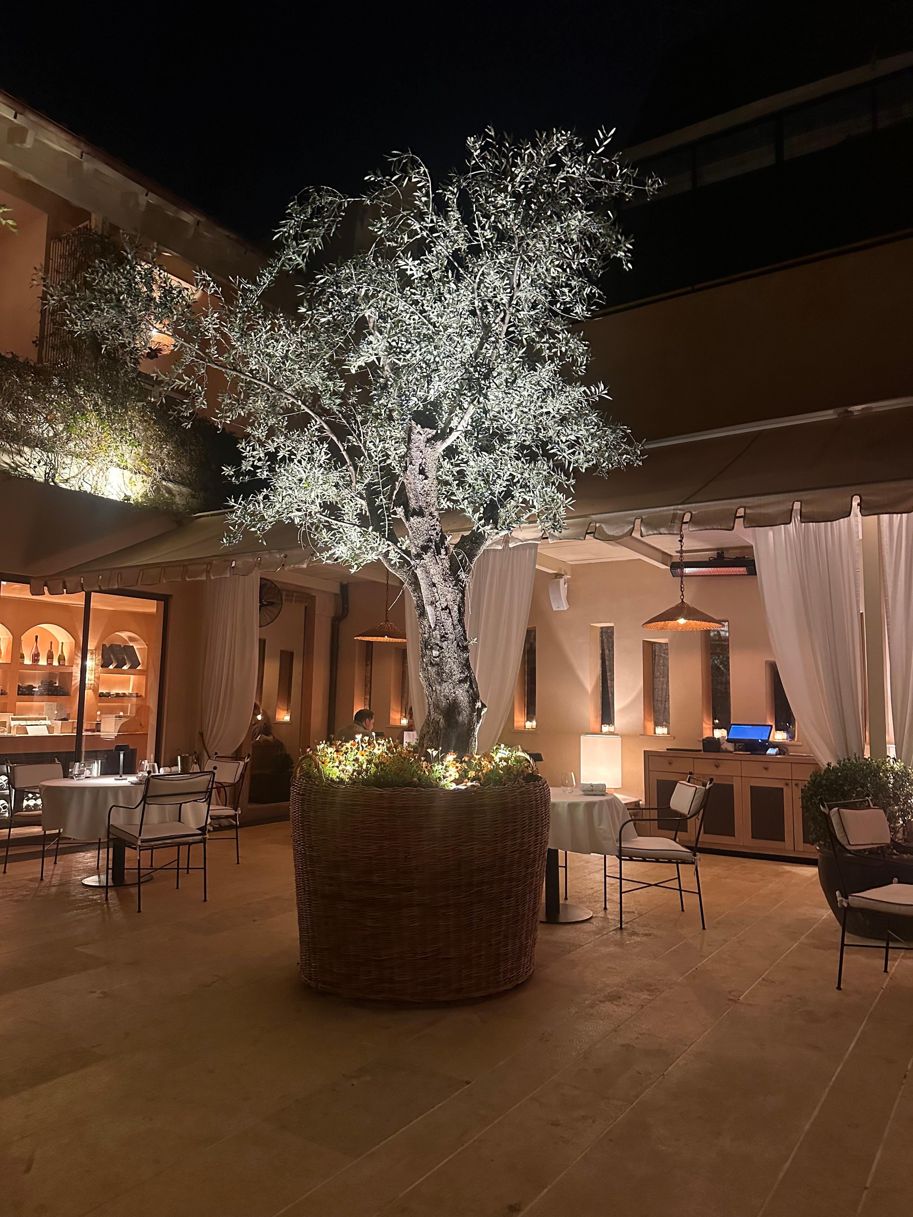 The courtyard 