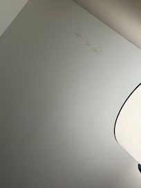 Red/orange thing on wall