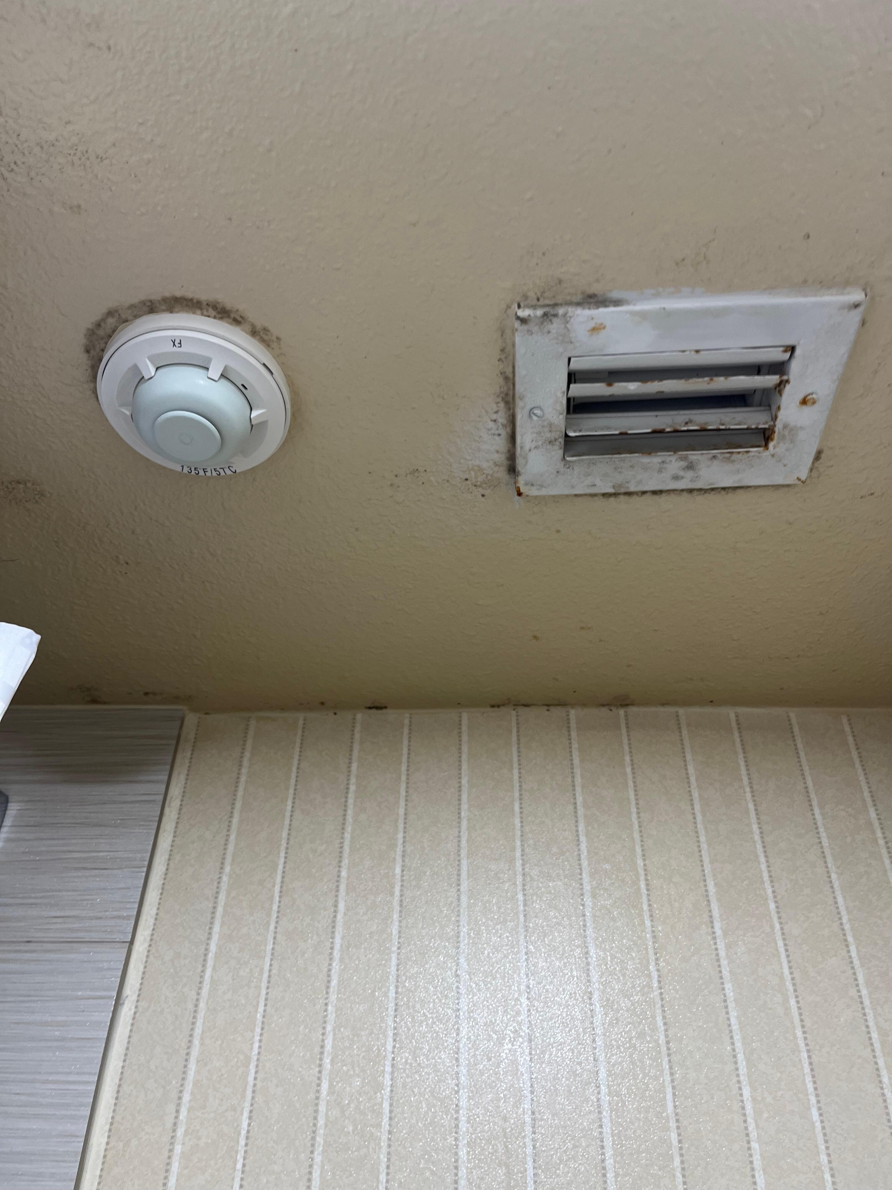 Mold around vents