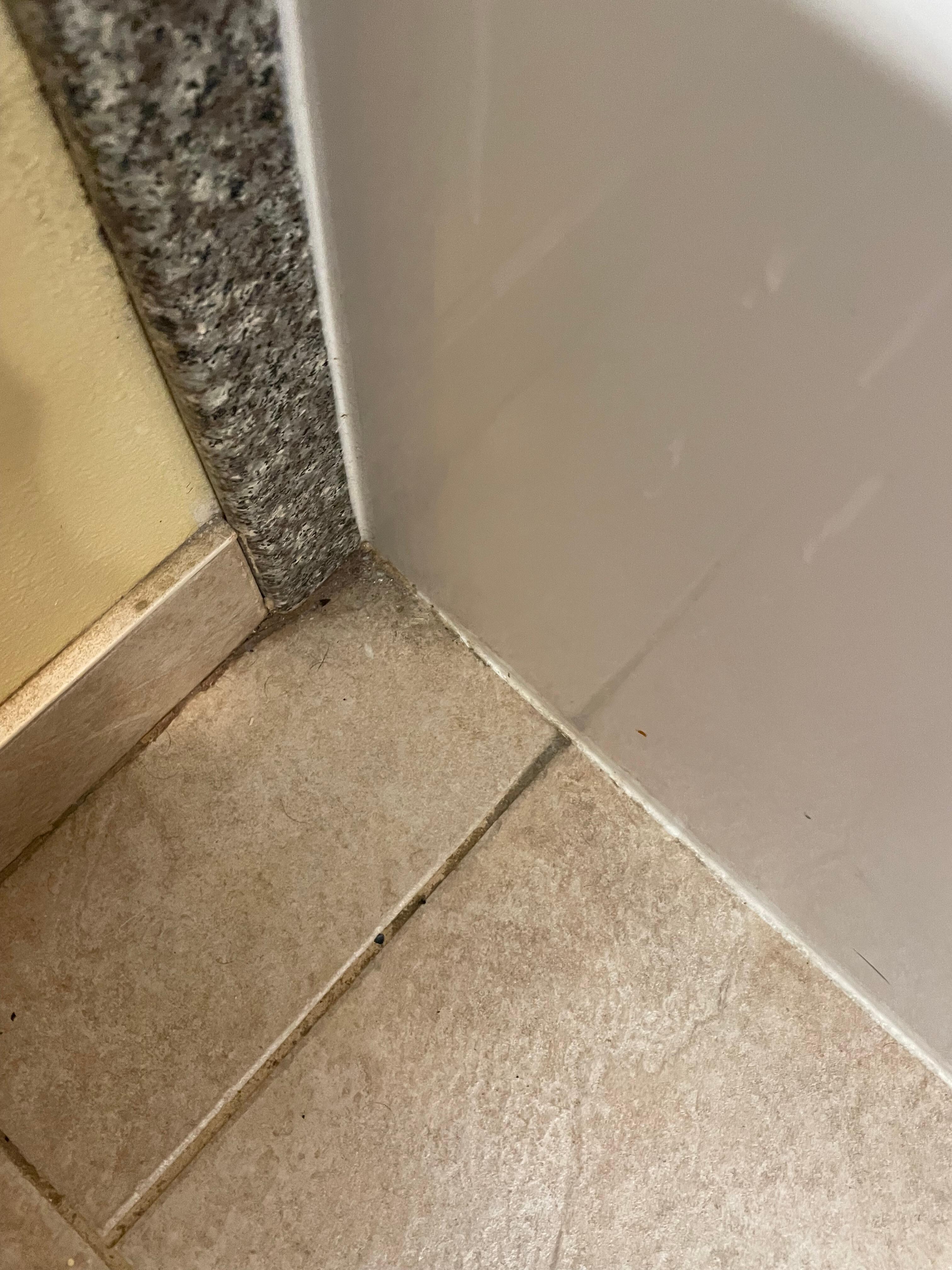 Bathroom wall