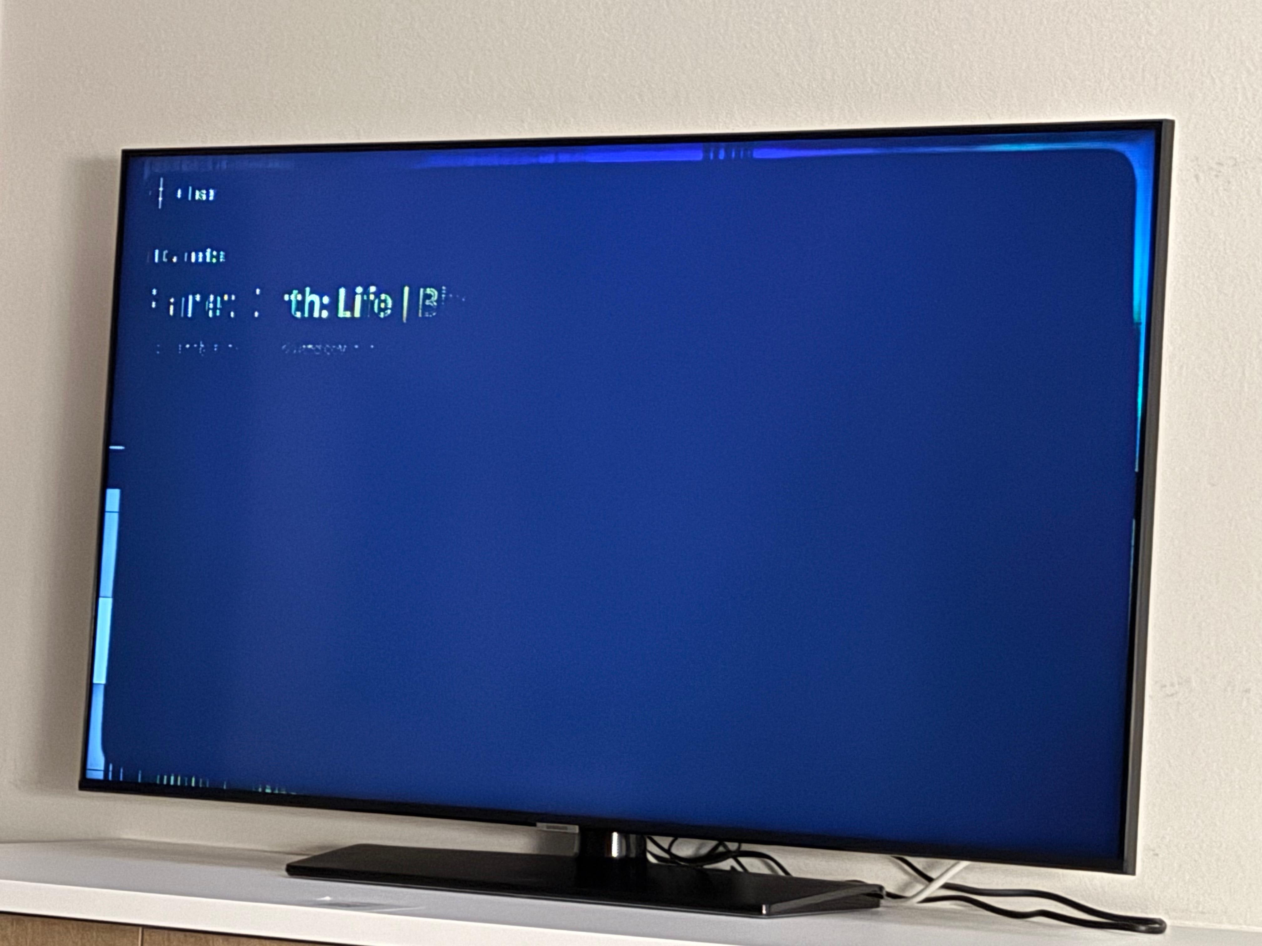 The tv they didn’t fix or replace.