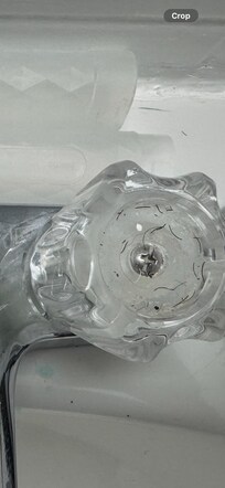 Facial Hair in bathroom faucet