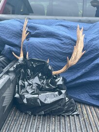 The Hotel was great. In a location to get where you had been o go. The rooms were modern, clean, and the maid did a good job