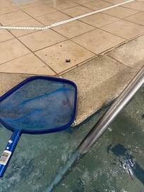 The skimmer and some stuff removed