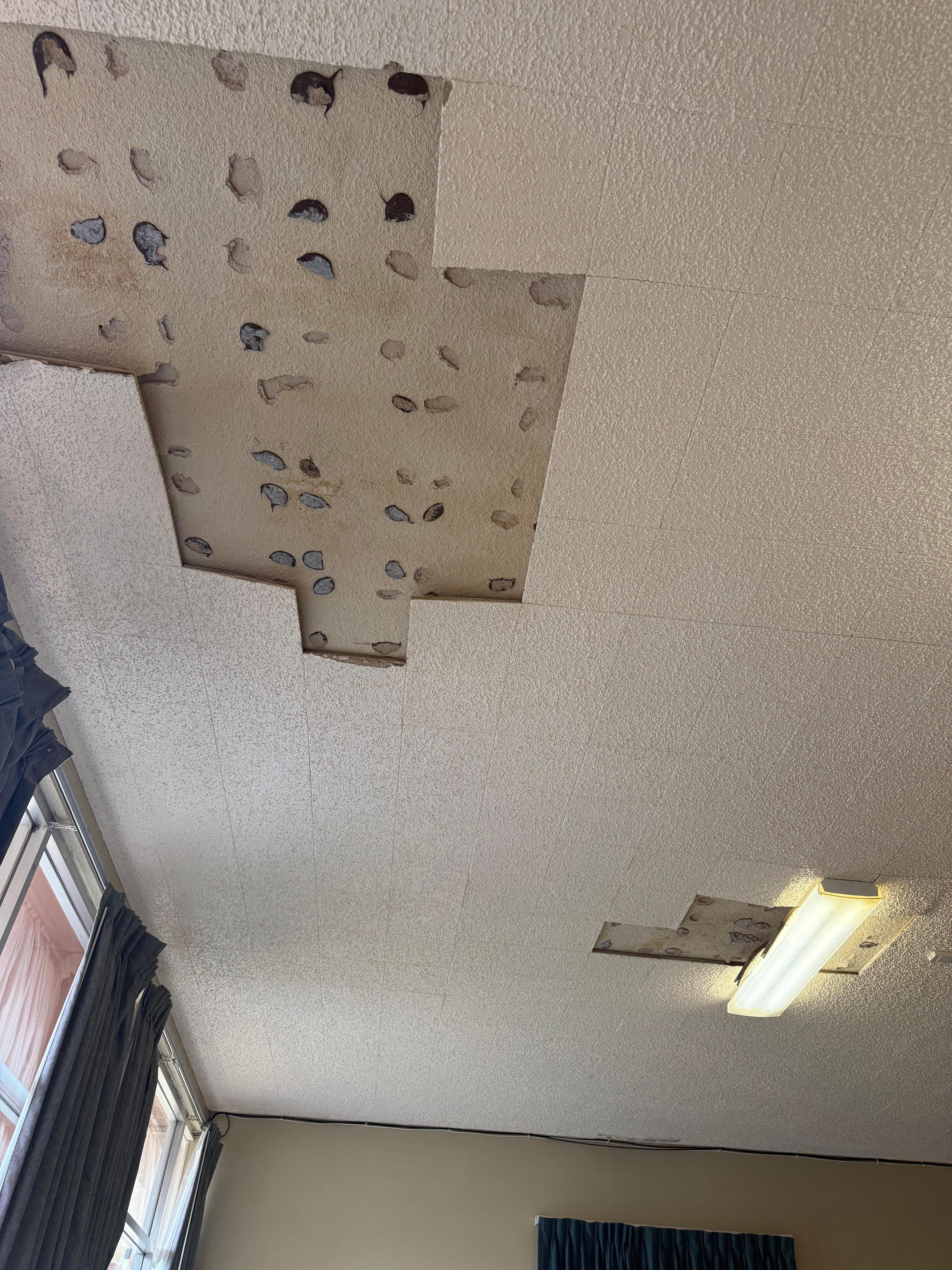 This is the ceiling of the breakfast room - disgusting!
