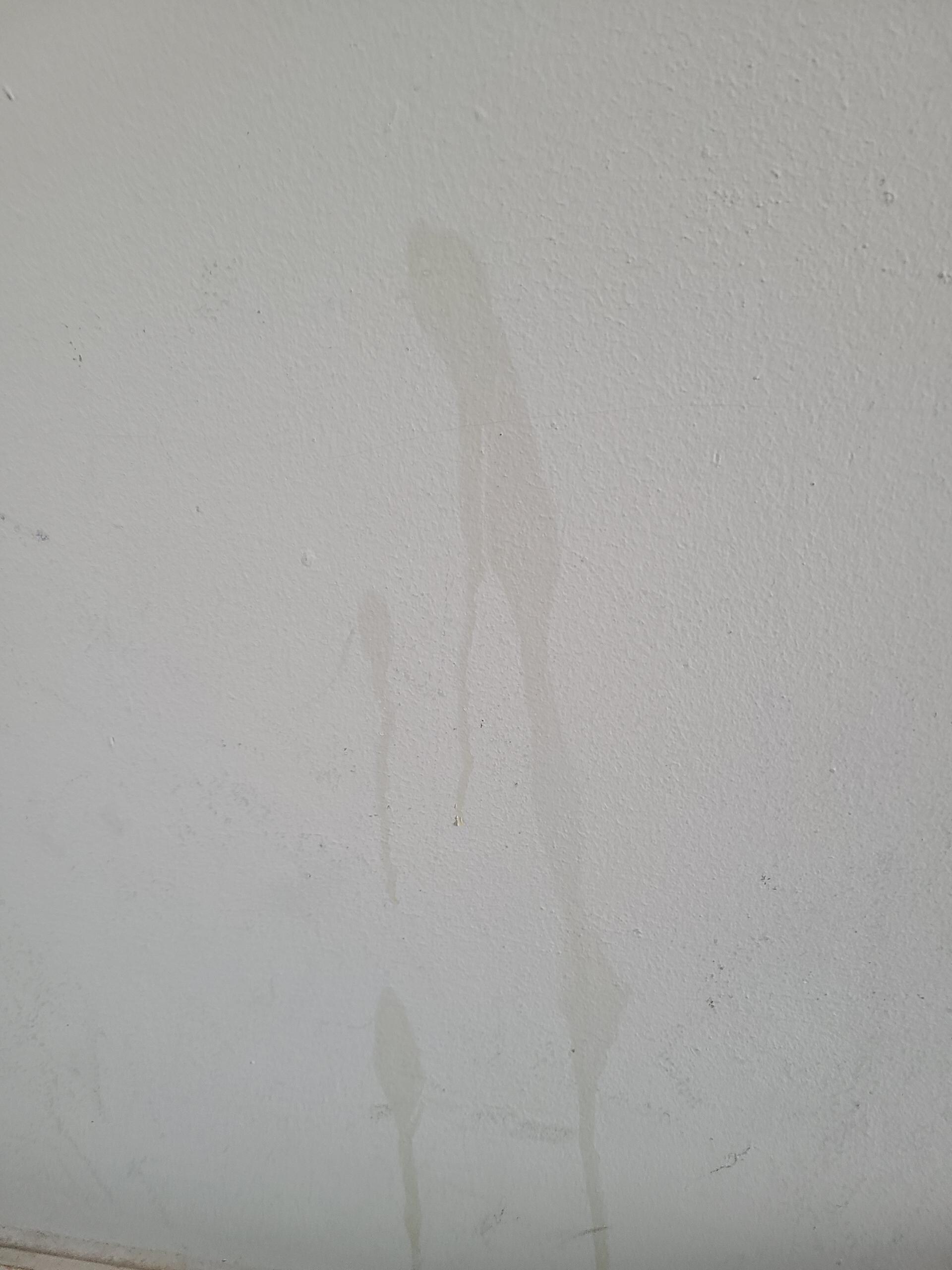 Pee on the walls