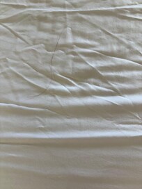 The red hair that was already in the bed this is how the beds were made and left for the next