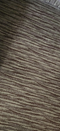 Dirty carpets in room