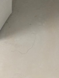 I have short brown hair