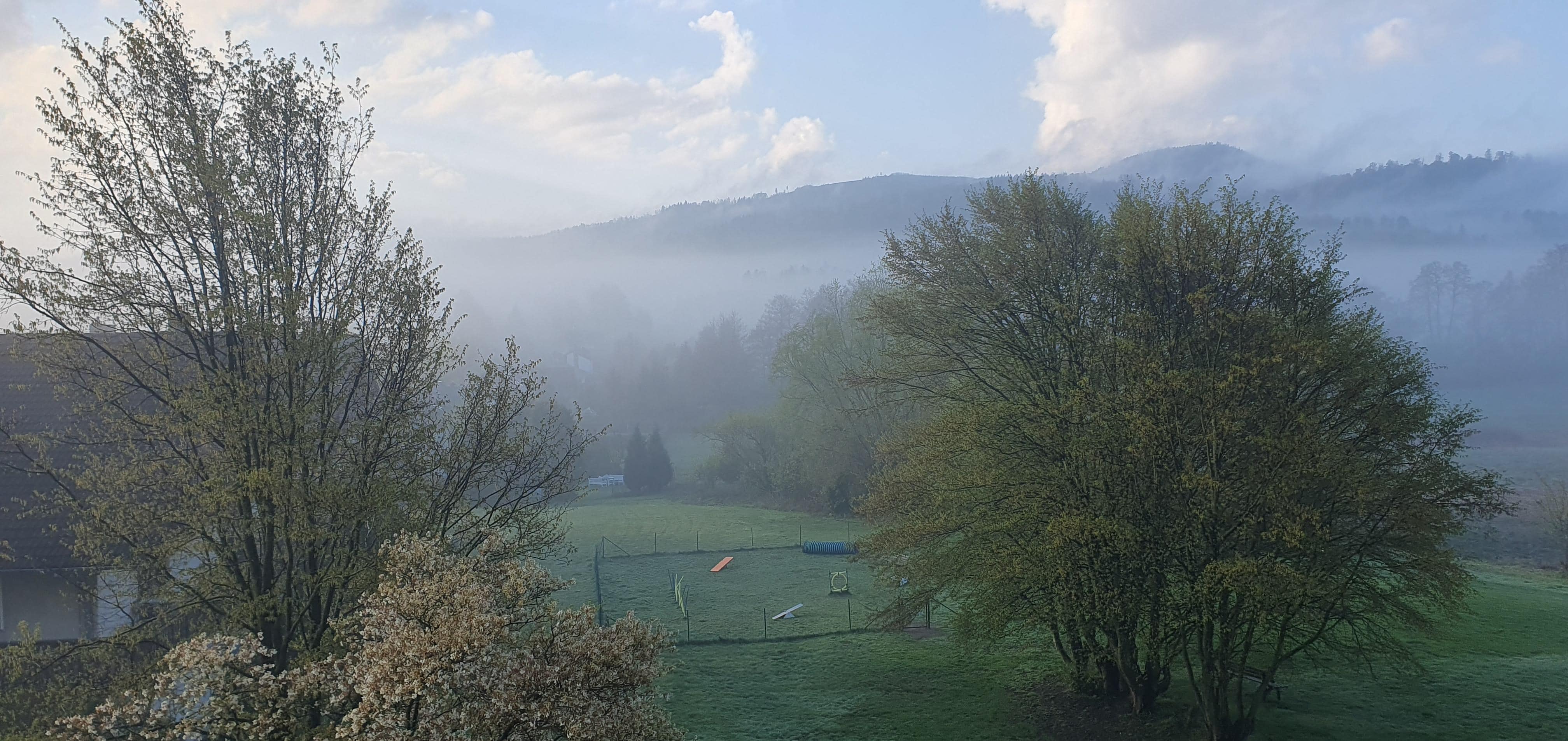 Udsigten fra vores værelse.