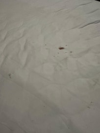 Blood stain on mattress cover