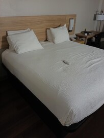 Nice comfy beds.