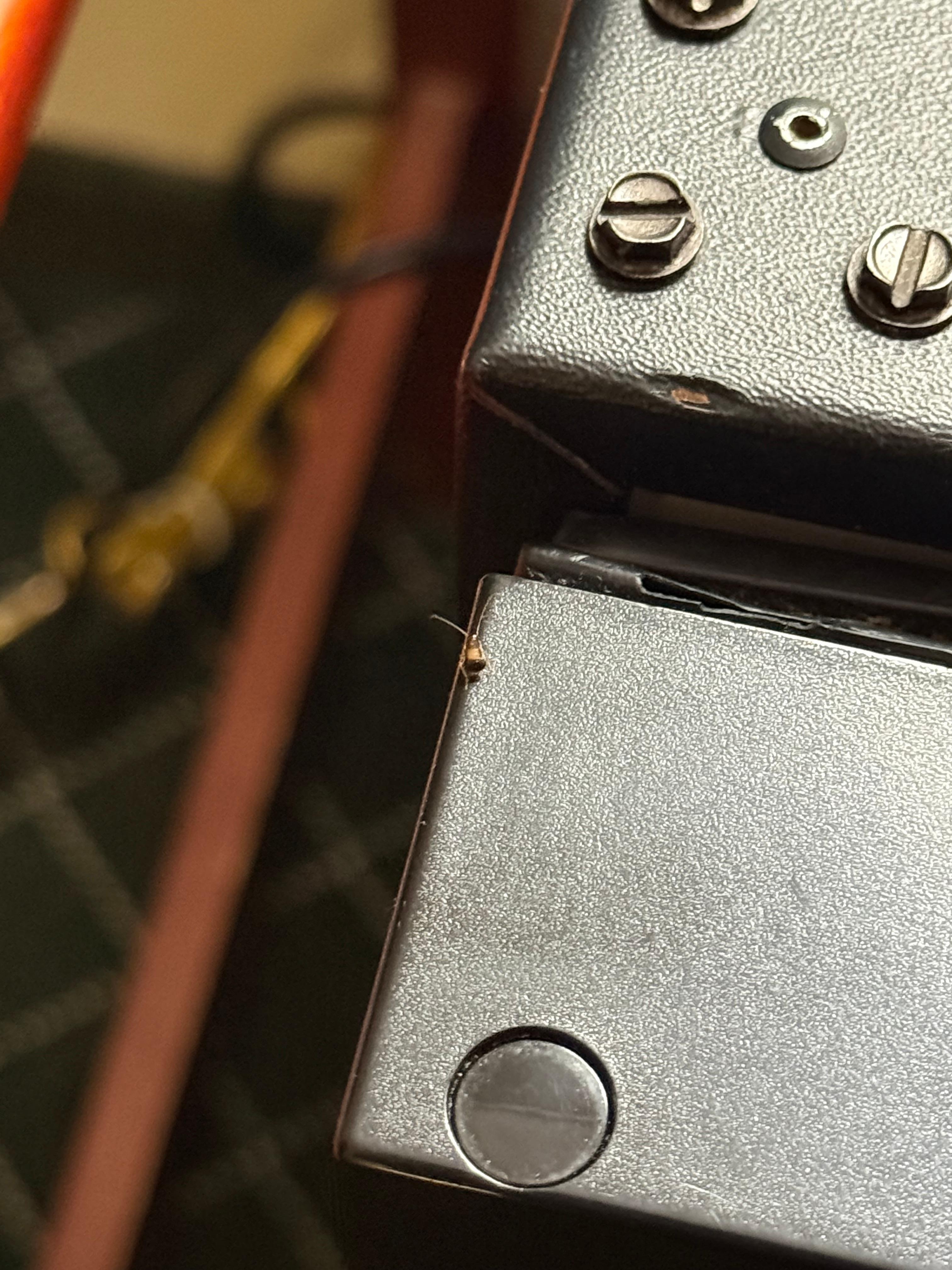 Roach walking on the outside of the mini fridge.