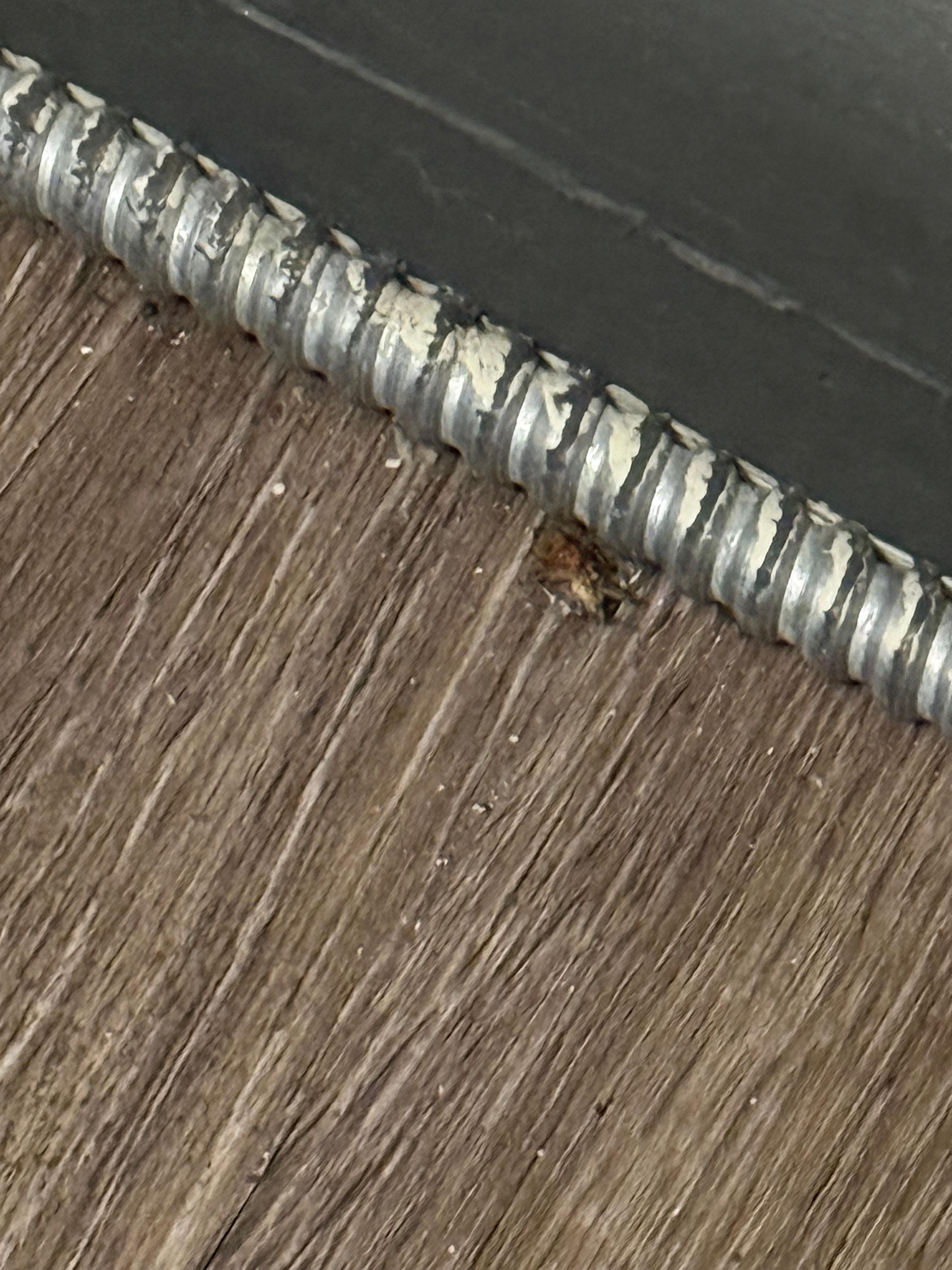 These wore the bugs I kept seeing and killed them 