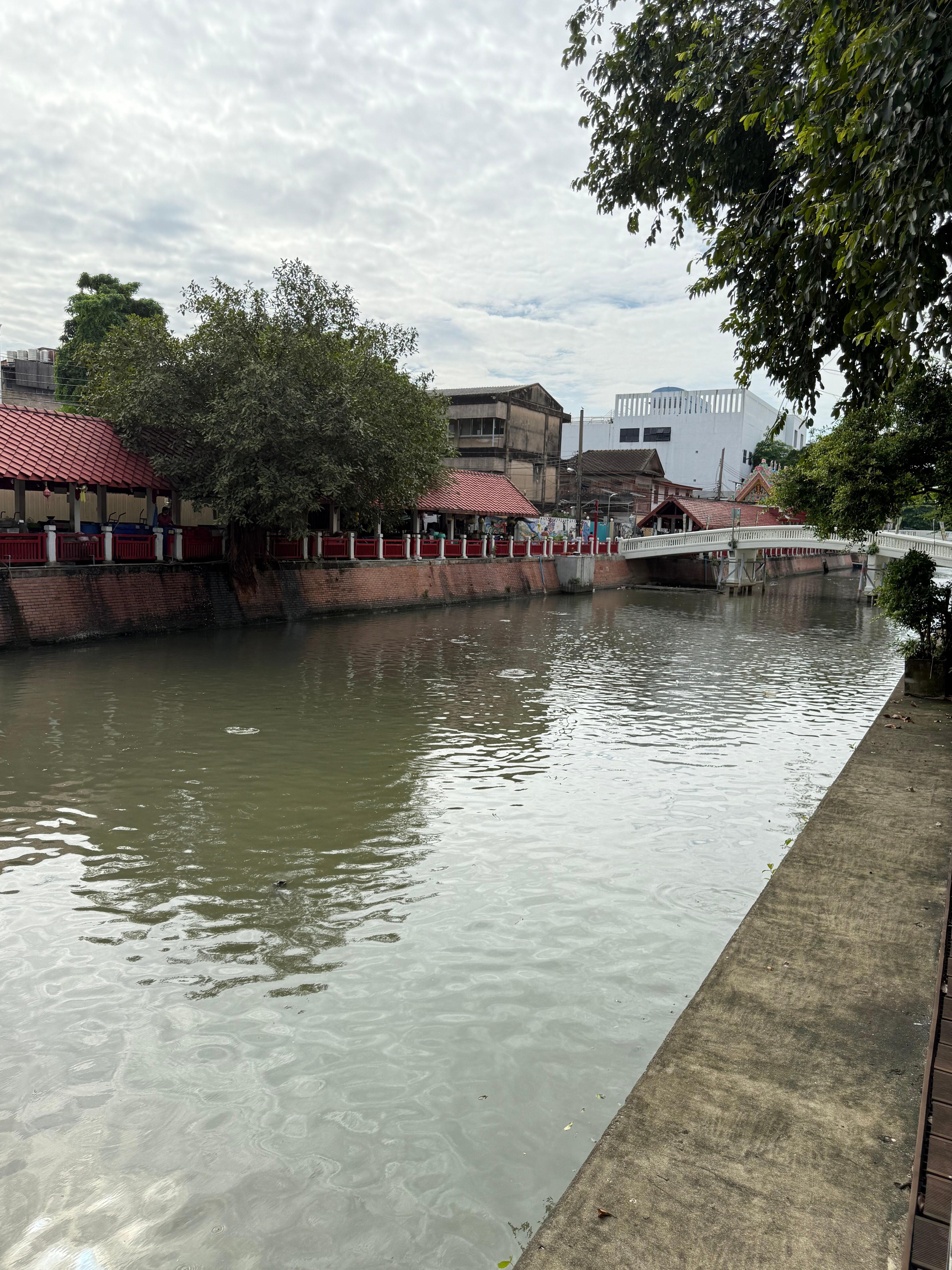 View of the canal