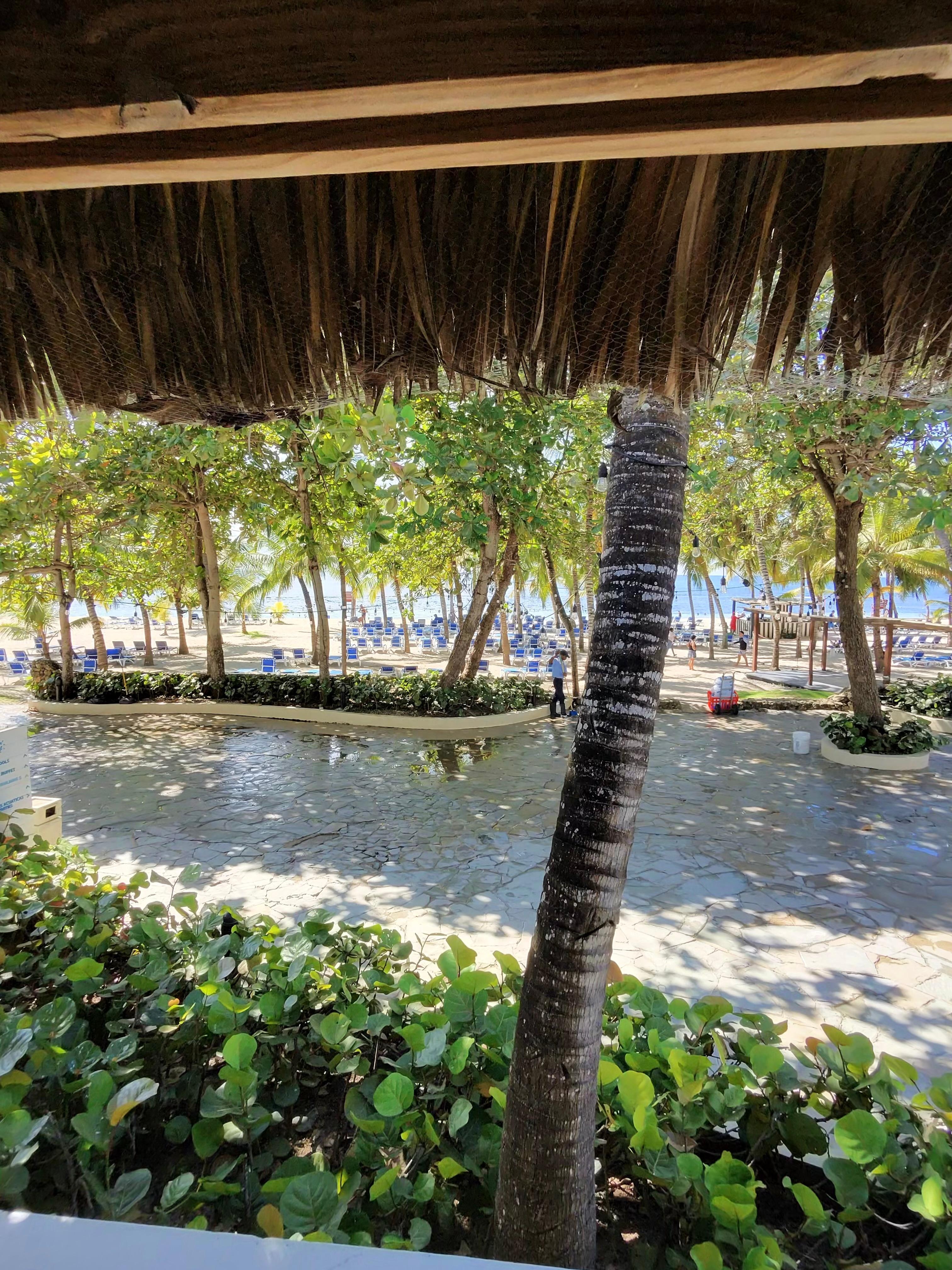 View from the restaurant