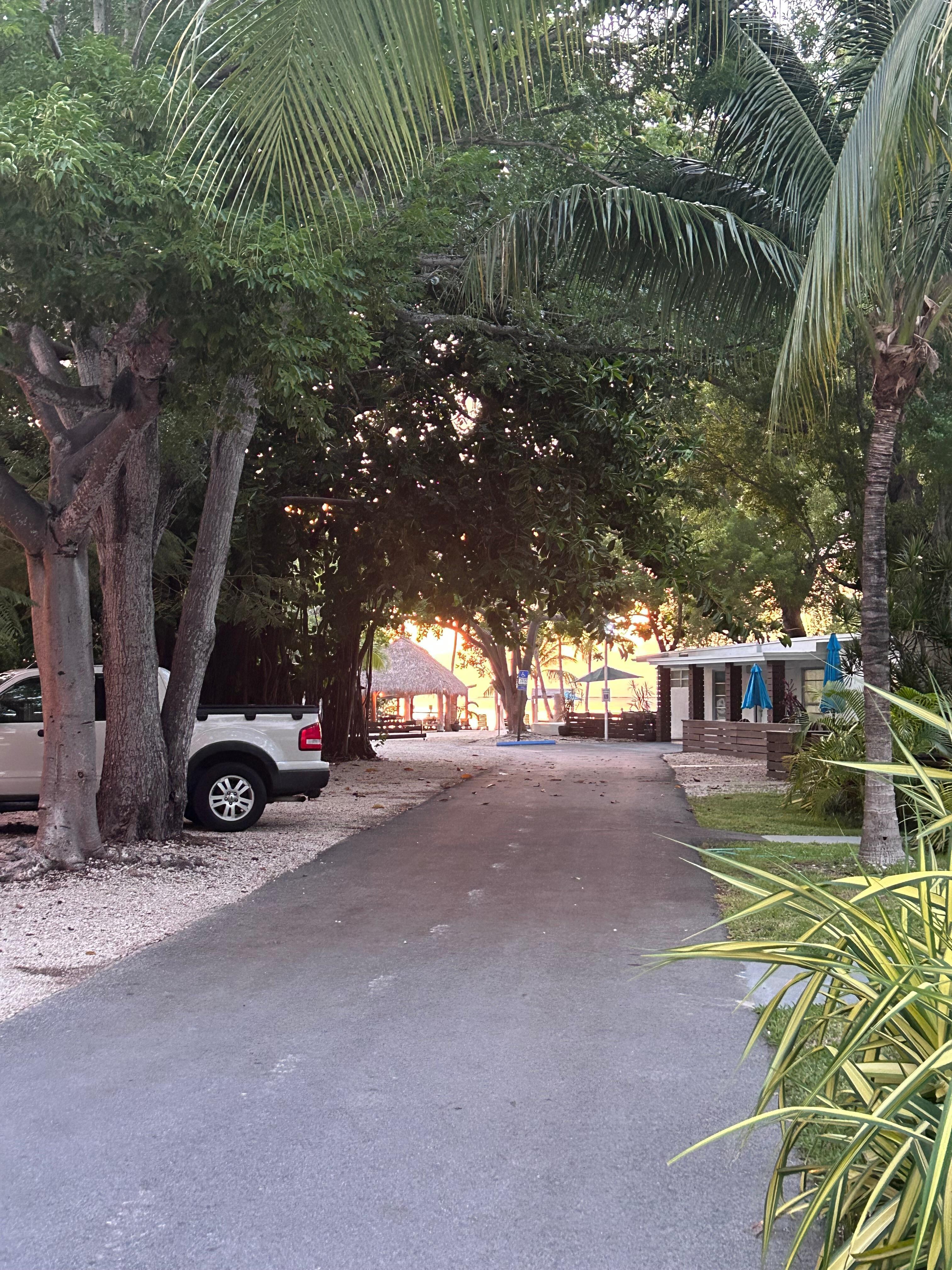 Drift Hotel in Key Largo: Find Hotel Reviews, Rooms, and Prices on ...