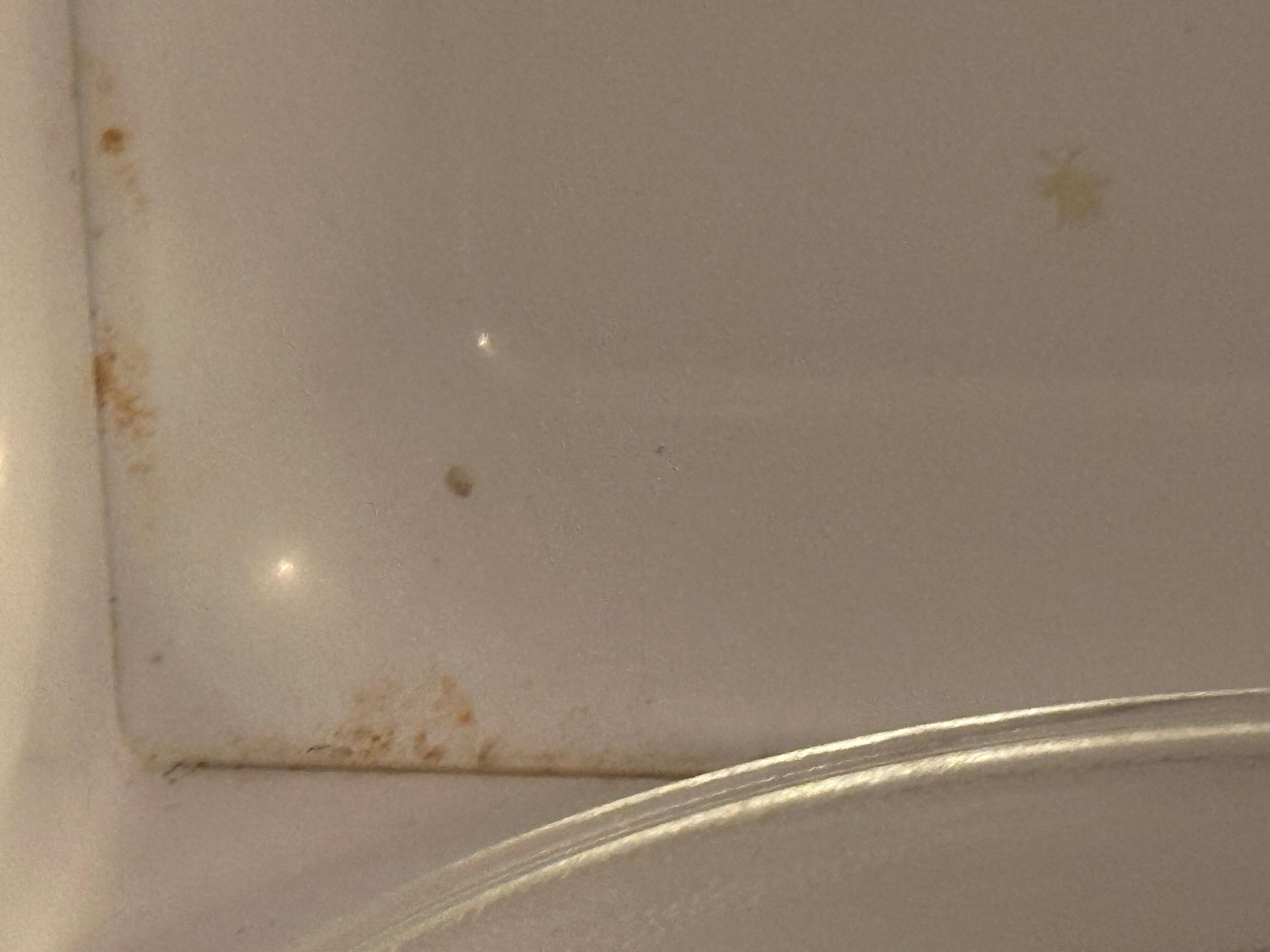 Gross nasty dirty microwave 