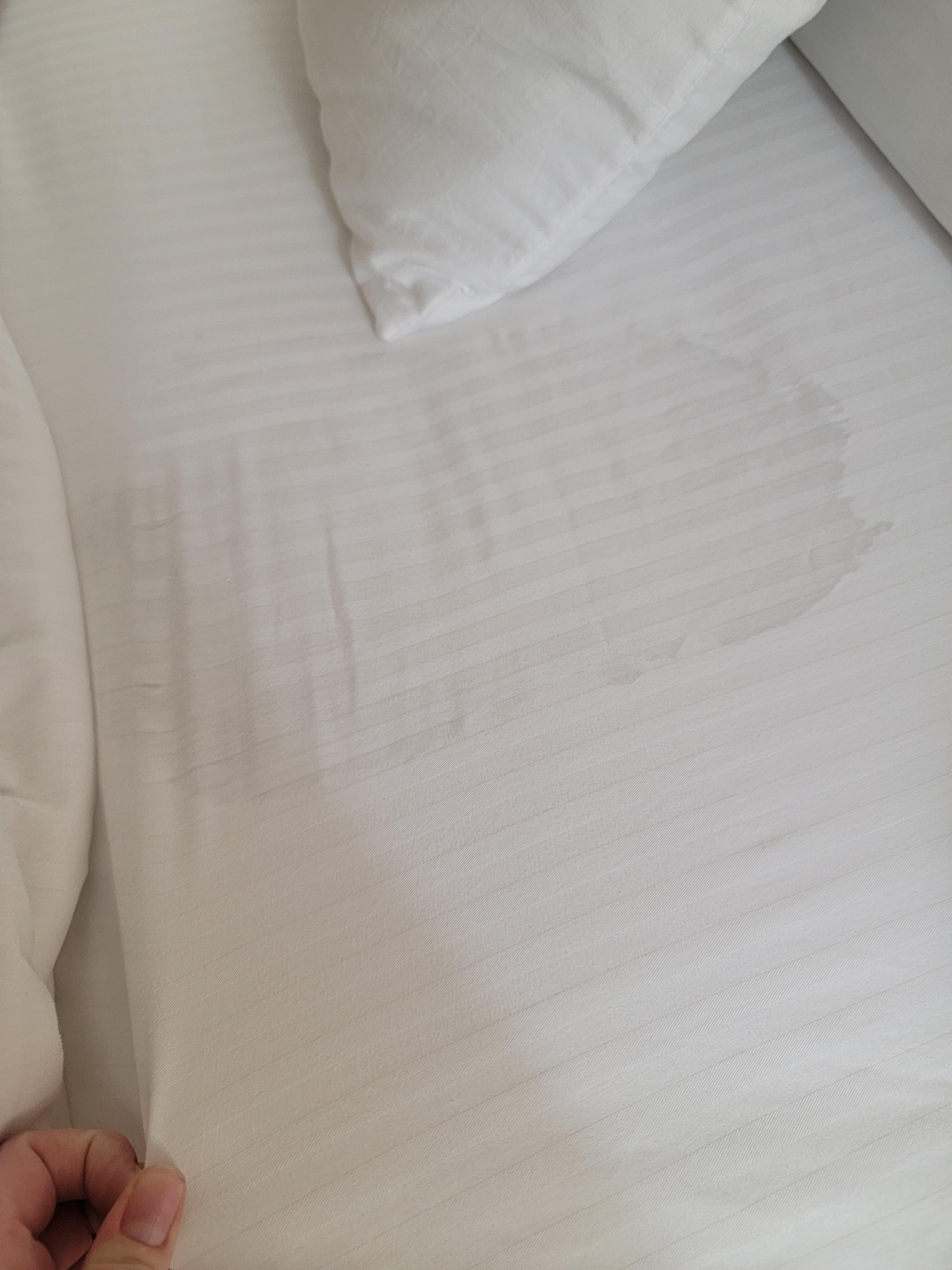 Stain on the bedding and hair. Found it when checking for bugs. Disgusting. 