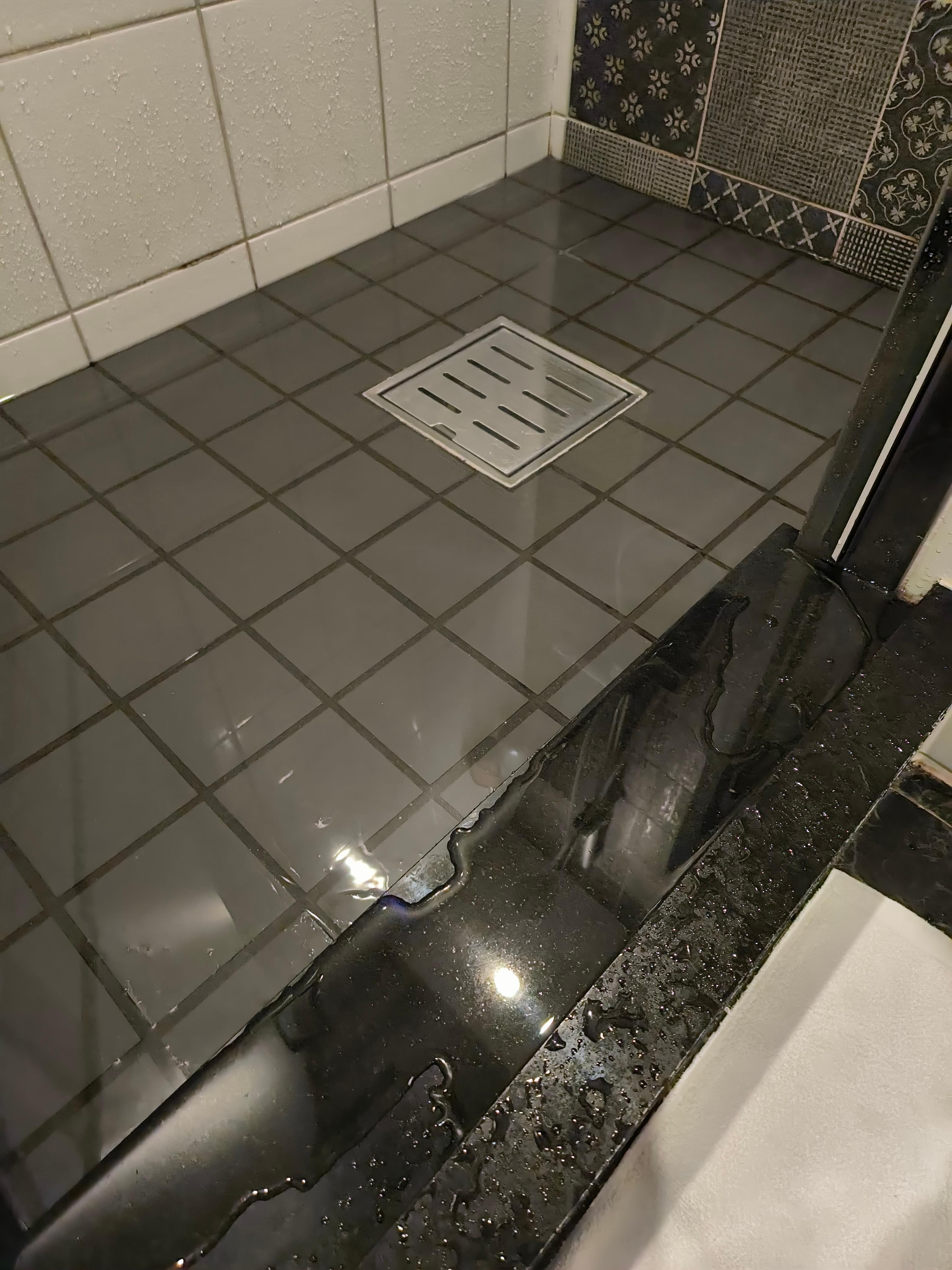 The water had already reached the edge of the shower basin after bathing.