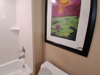 Mold in the picture frame installed in restroom