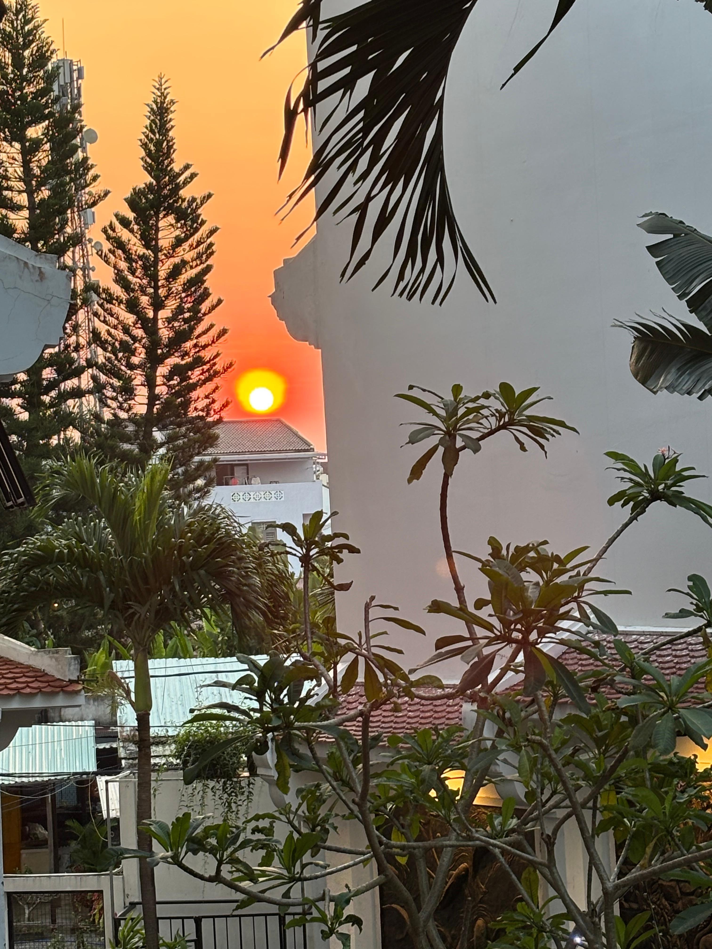 Smuk solnedgang fra altanen. 