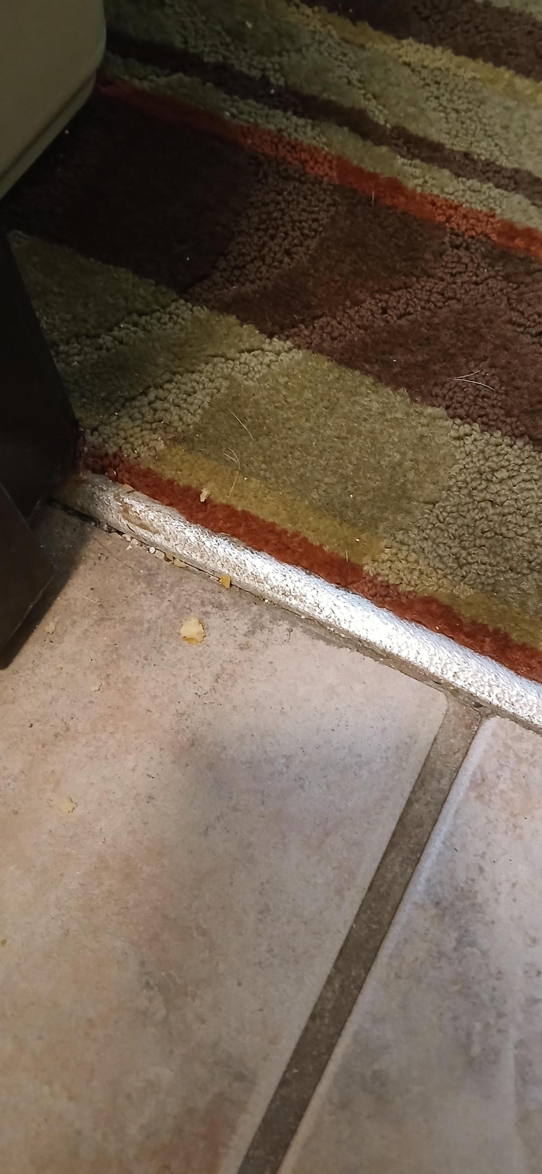 Hasn't been vacuumed there were crackers all over floor even in the tub