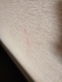 Unknown red substance on the wall