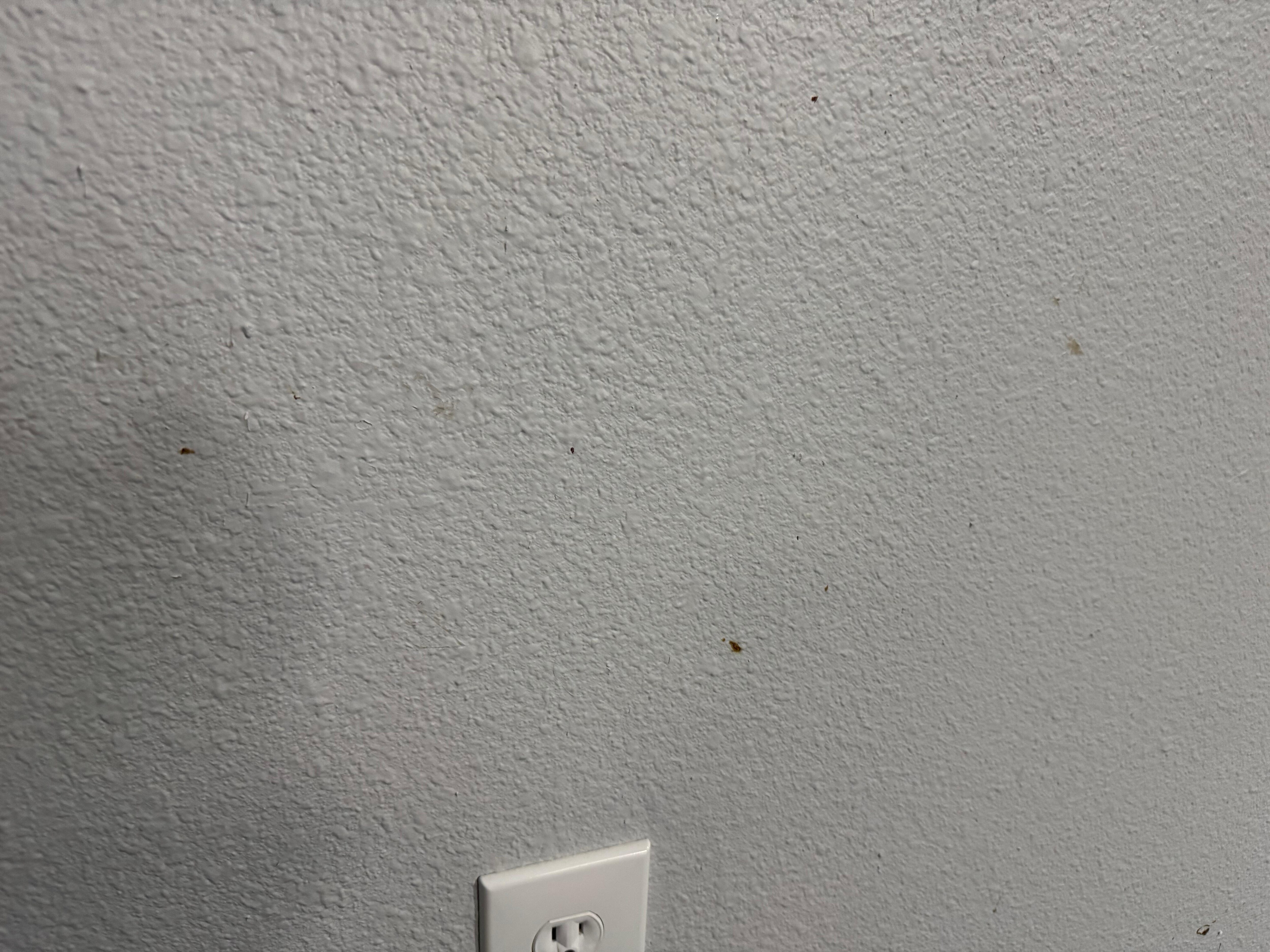 Looks like blood spots on the wall
