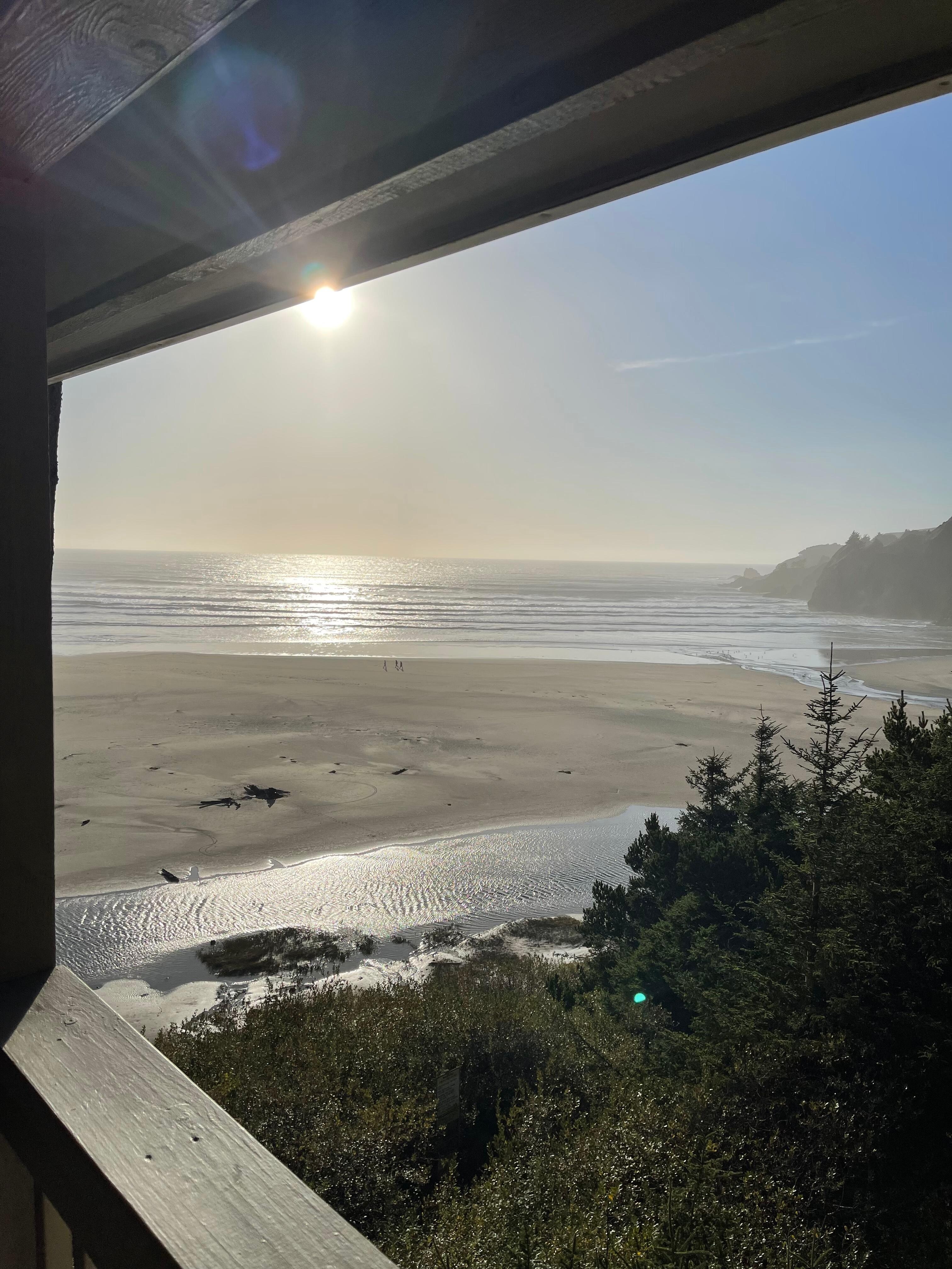 Starfish Point in Newport, OR | Expedia