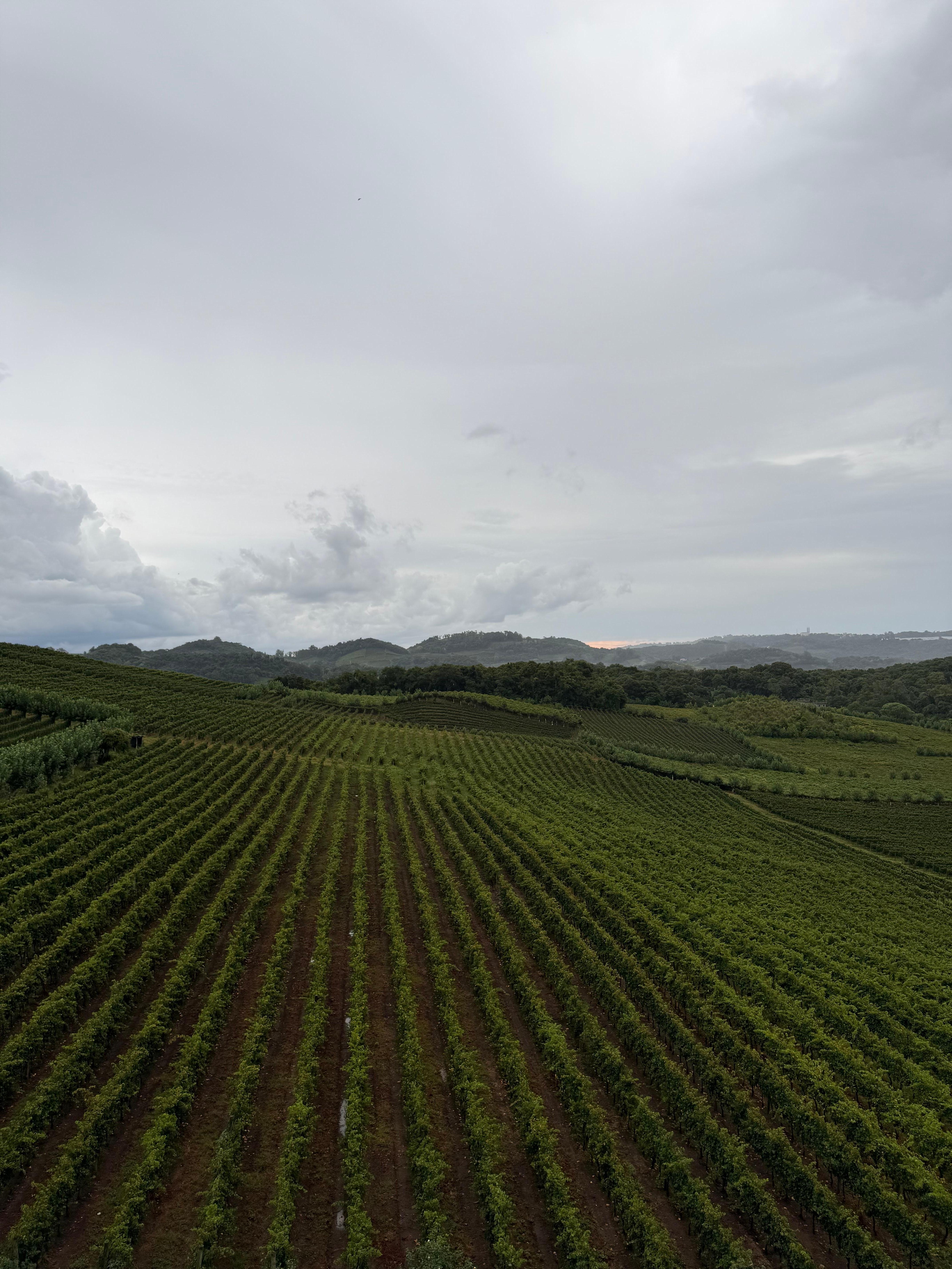 Vista do nosso quarto. 