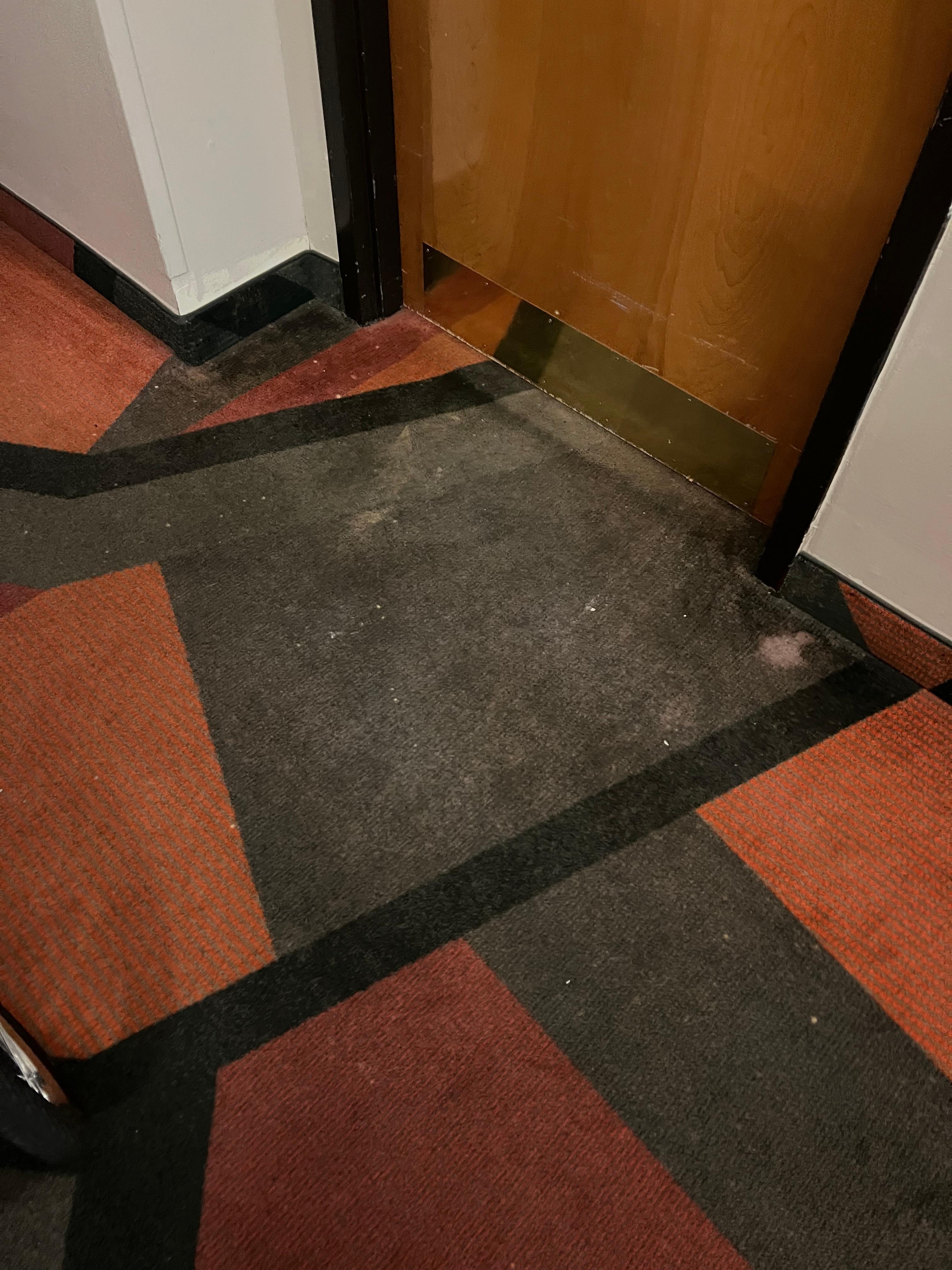 Hallway floor in front of the door. 