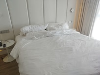 Questa era la Kamera fatta dopo che un giorno mon era stata fatta.